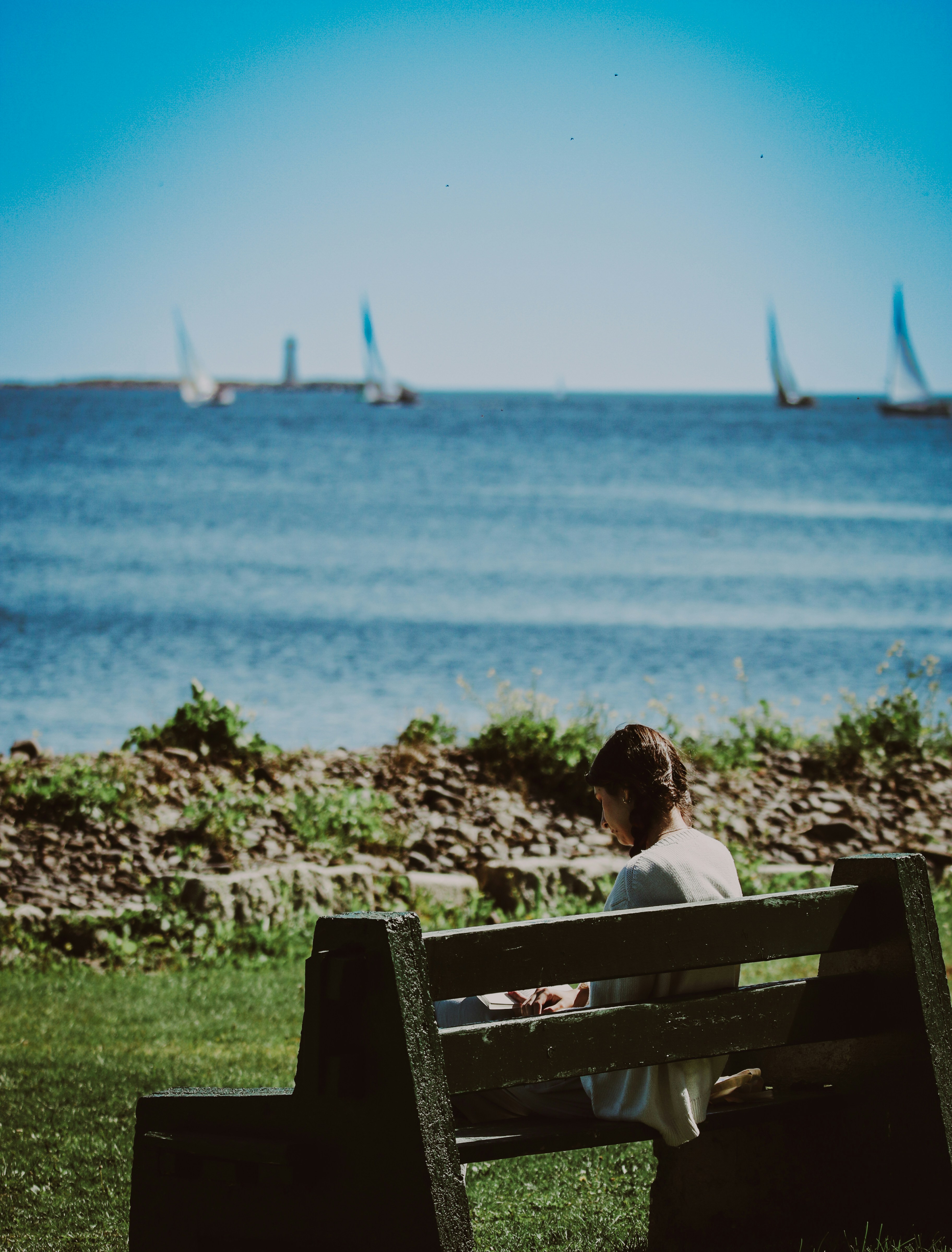 Bench by the Bay: a quiet moment as sails drift across the horizon