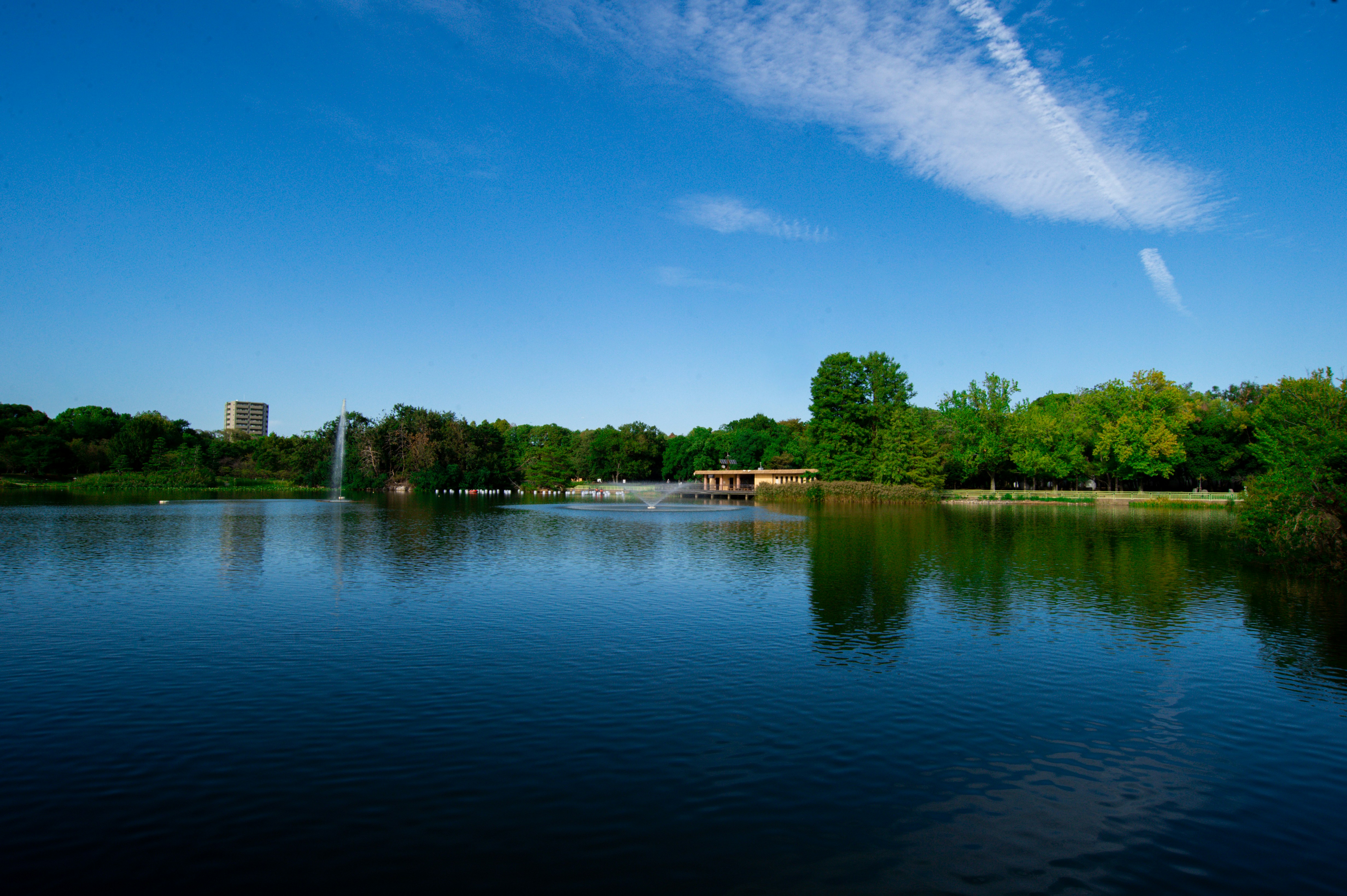 Reflections of Serenity: A Lakeside Retreat