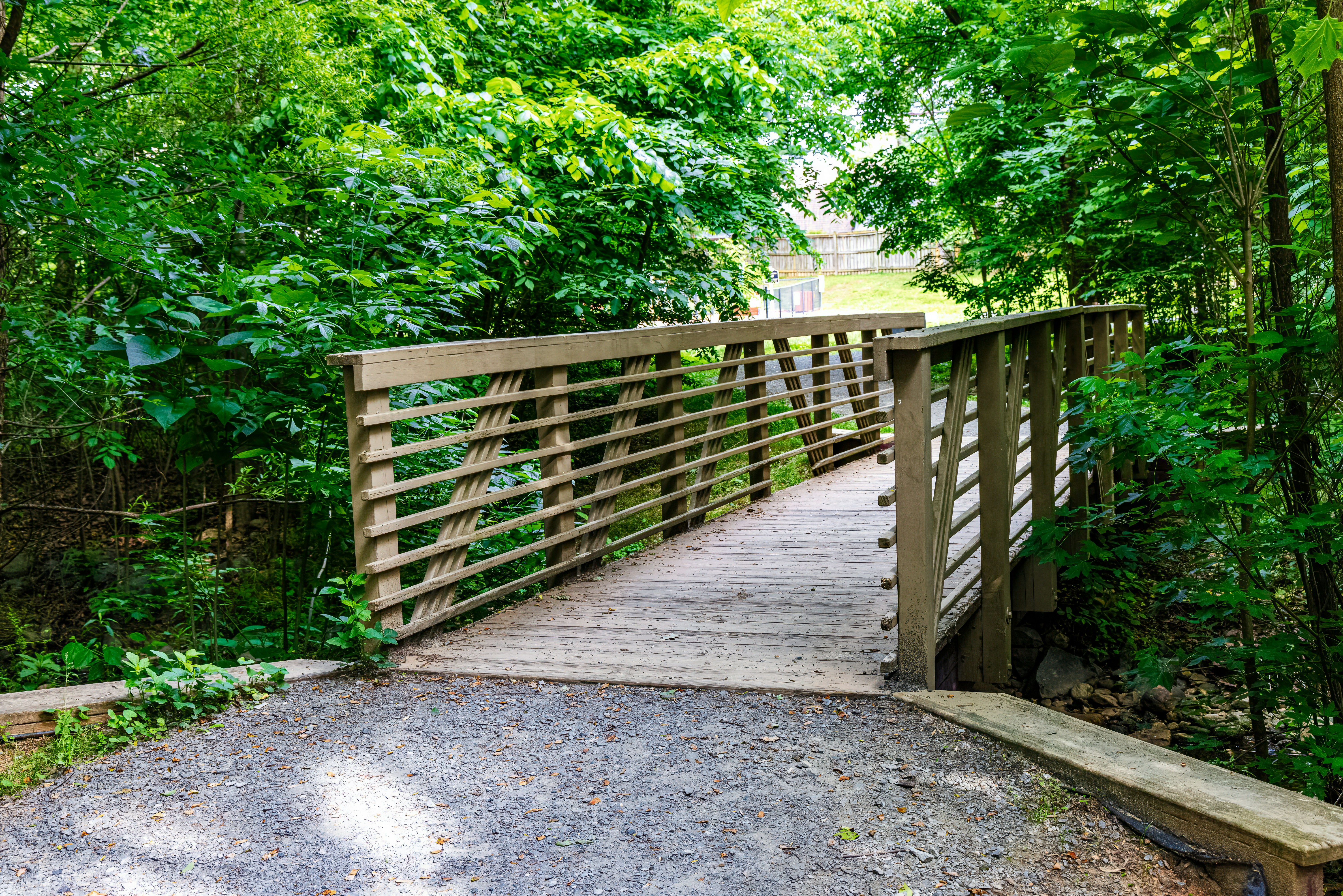 Wooden bridge nestled among lush greenery, inviting exploration along a winding path. Natural light filters through the leaves, enhancing the serene atmosphere.