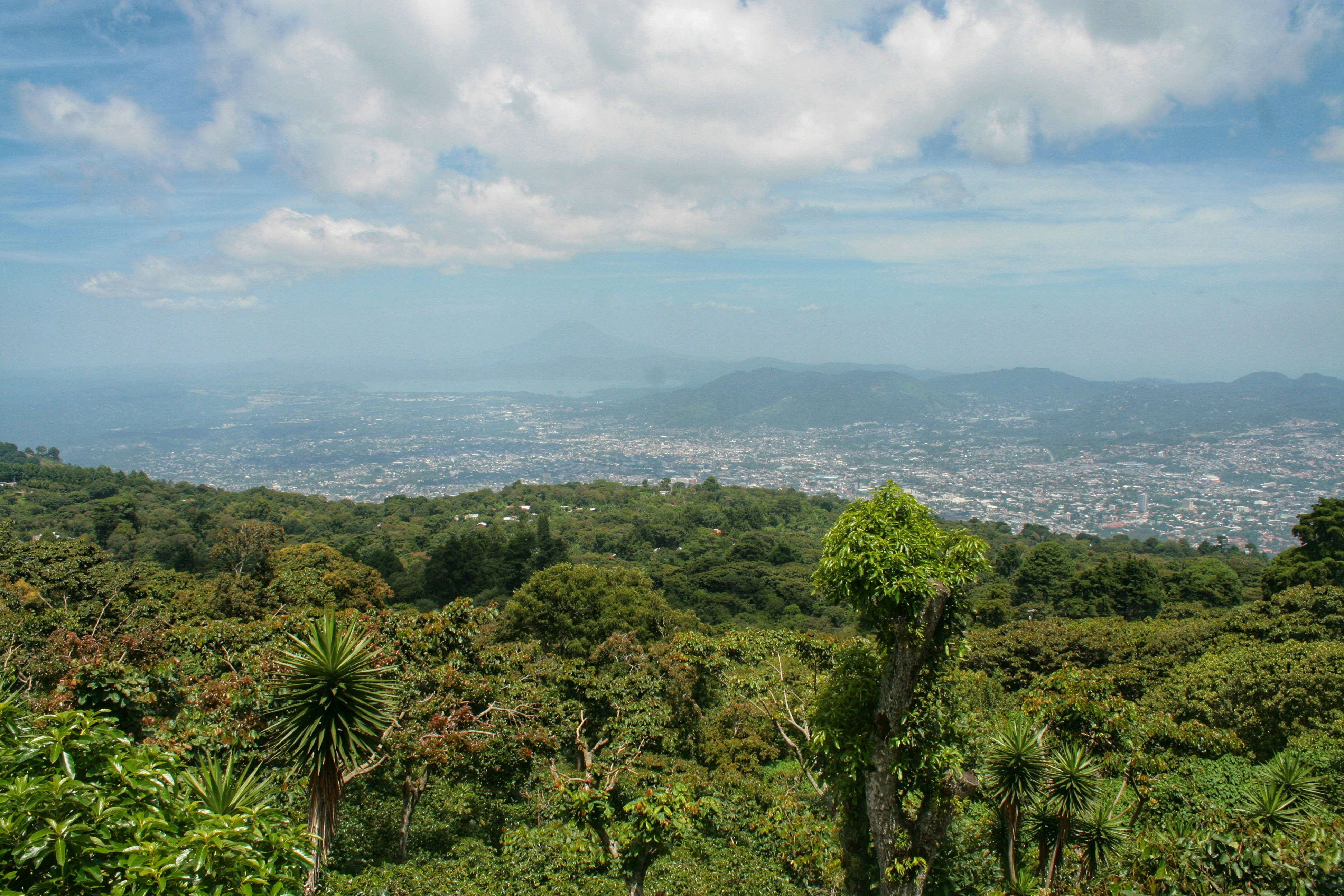 View of Santa Tecla and San Salvador from Finca San Cristóbal, San Salvador Volcano, August 2016 | Lush green forest overlooks a sprawling city below.