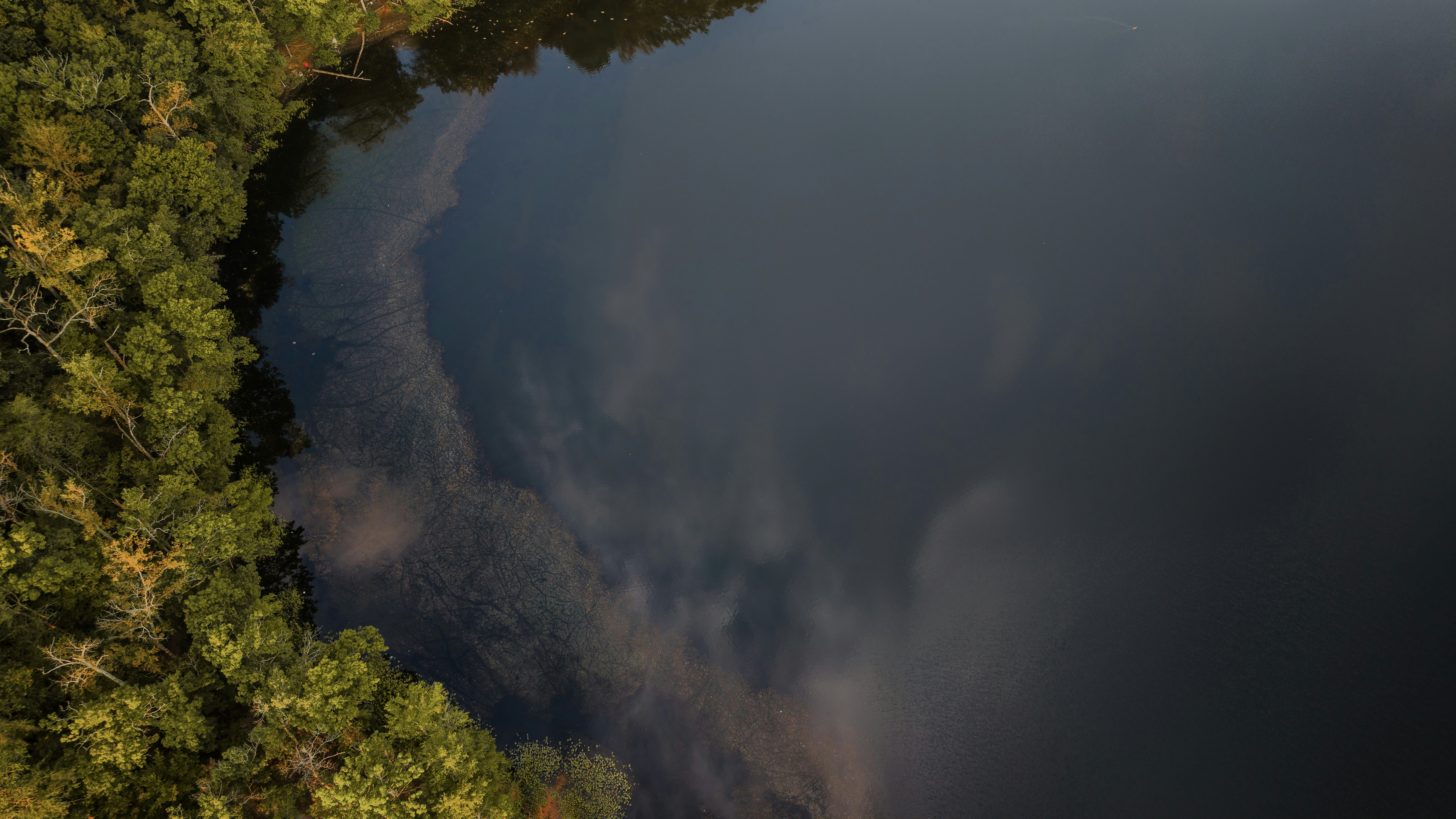 Serene lake bordered by lush greenery, reflecting soft clouds above. The stillness captures the essence of nature's calm.