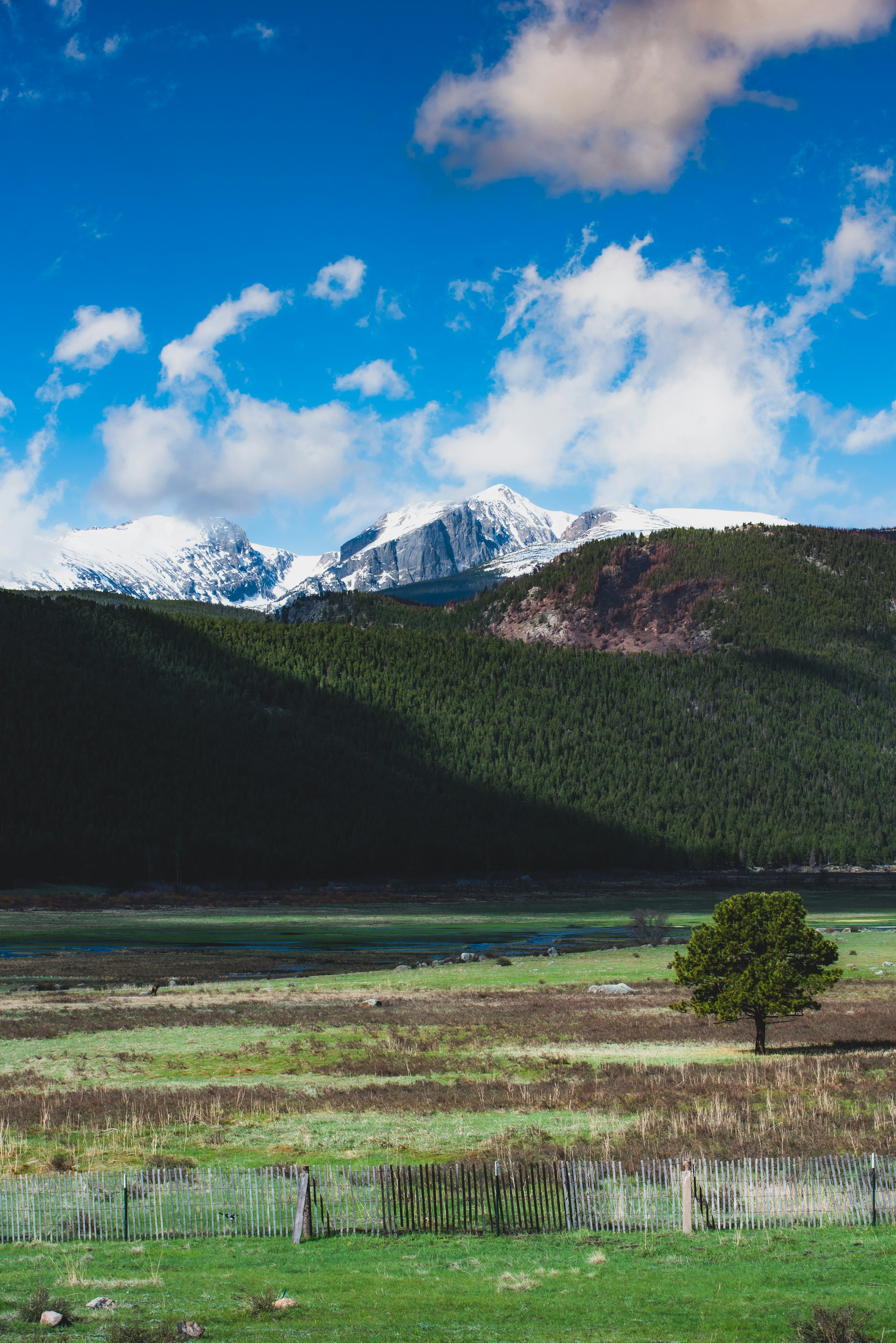 Snow-capped mountains rise above a green forested hillside.