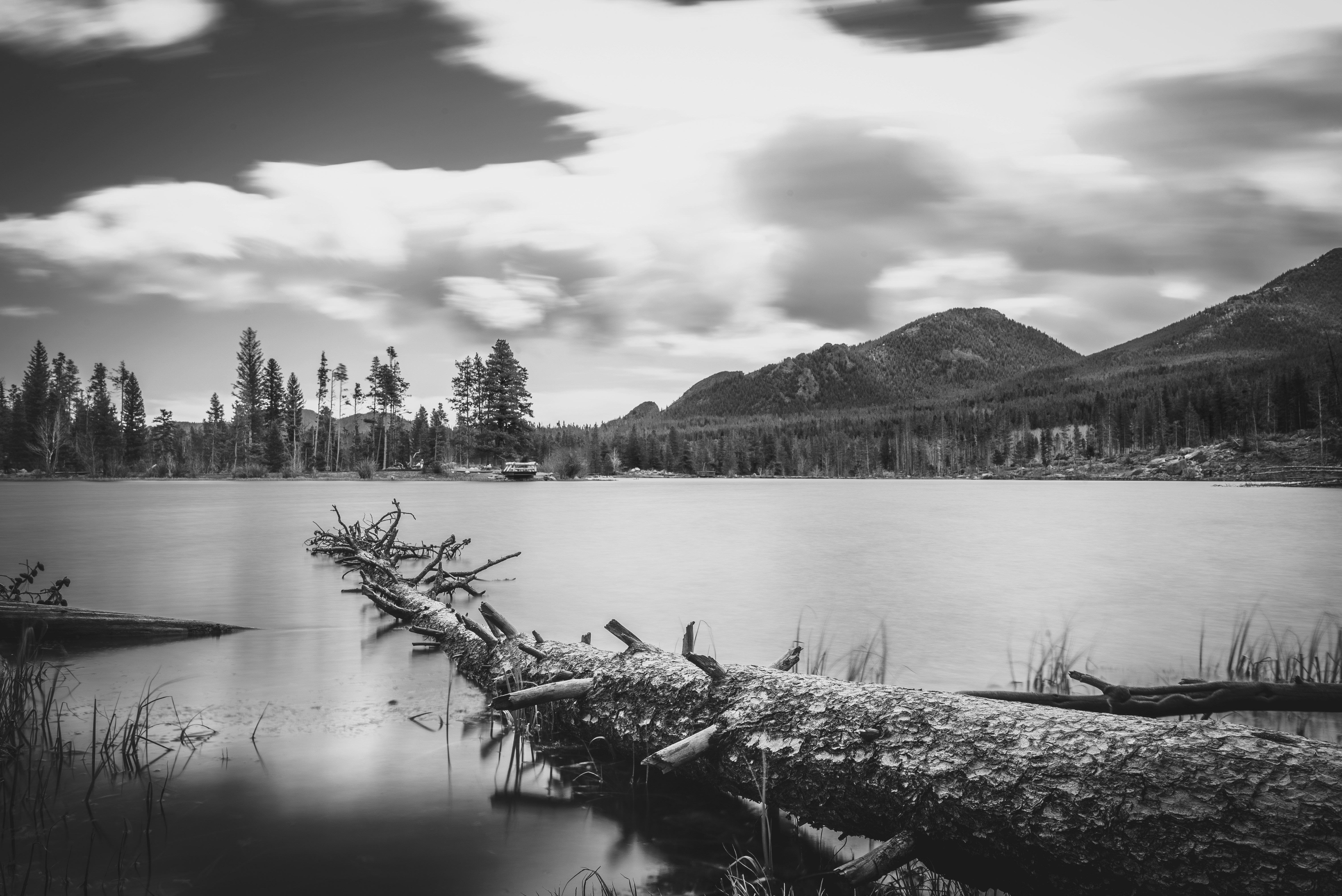 Whispers of Time on Still Waters