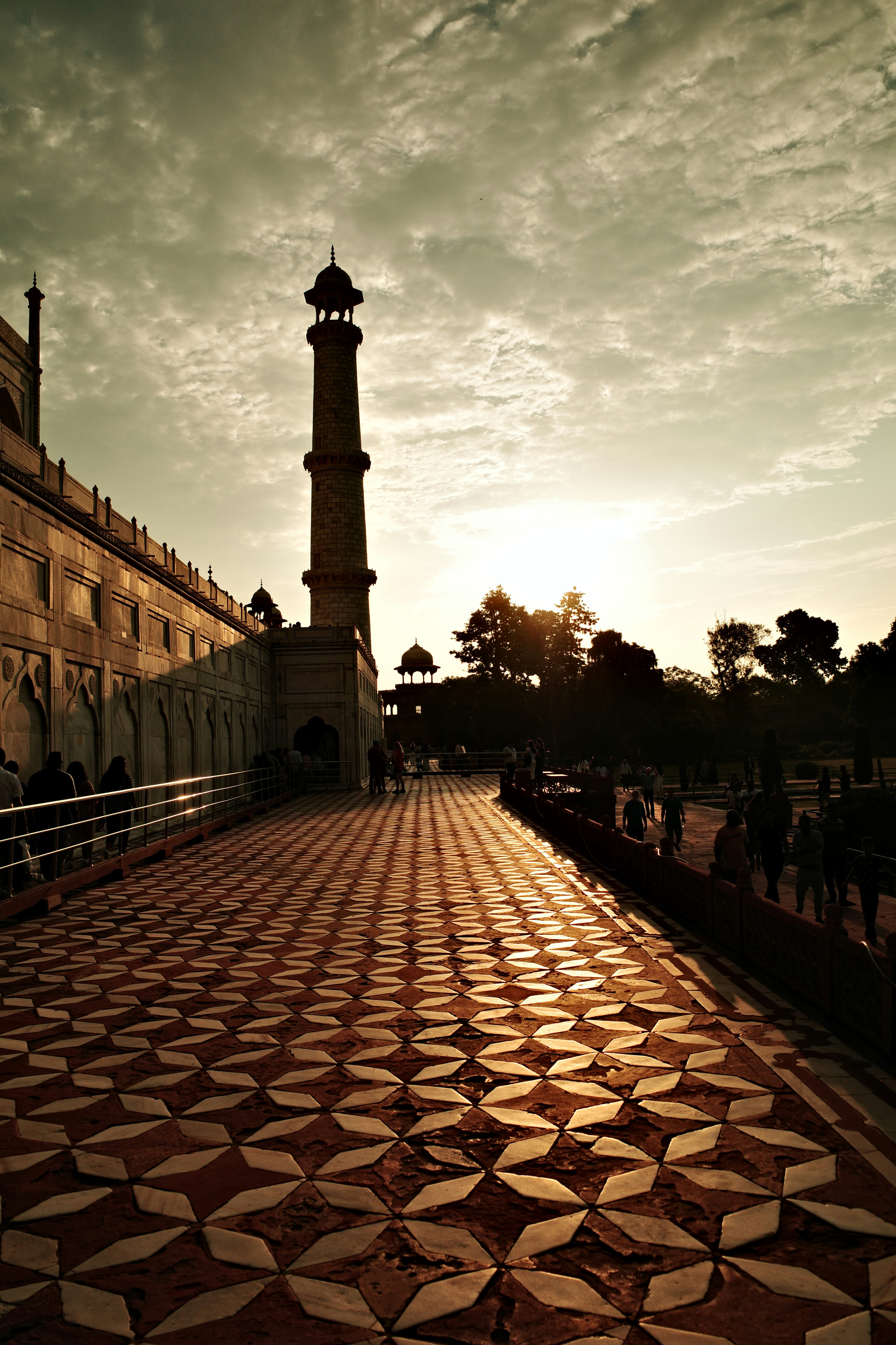 Echoes of Time: The Majestic Pathway