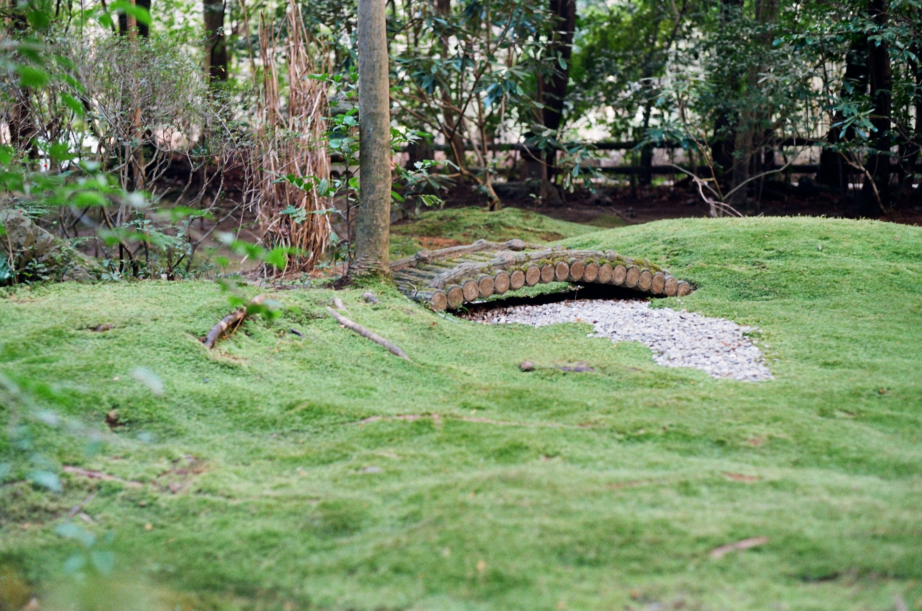 Small wooden bridge over a gravel path in a garden. photo – Free ...