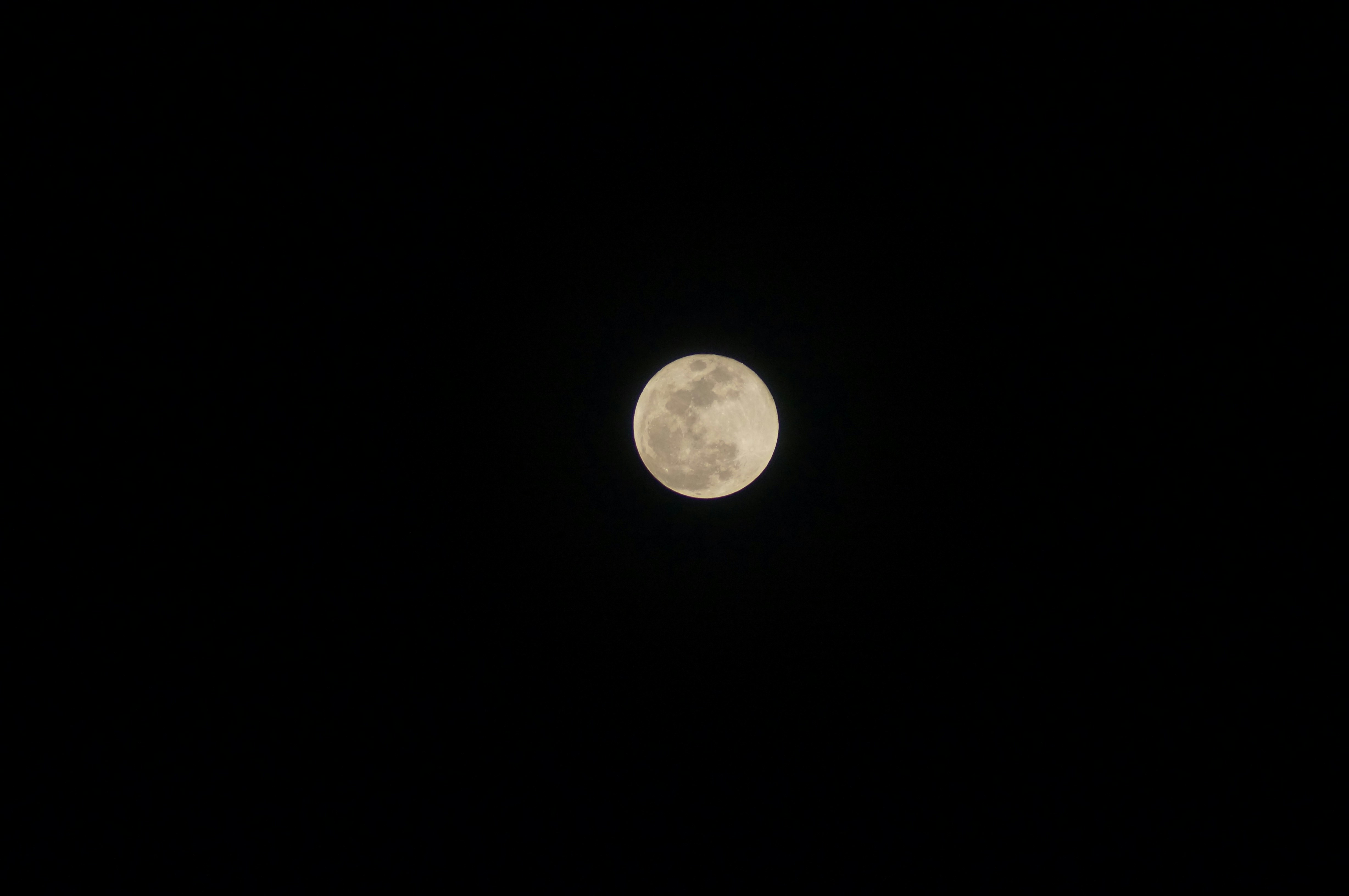 Celestial Beacon in the Night Sky