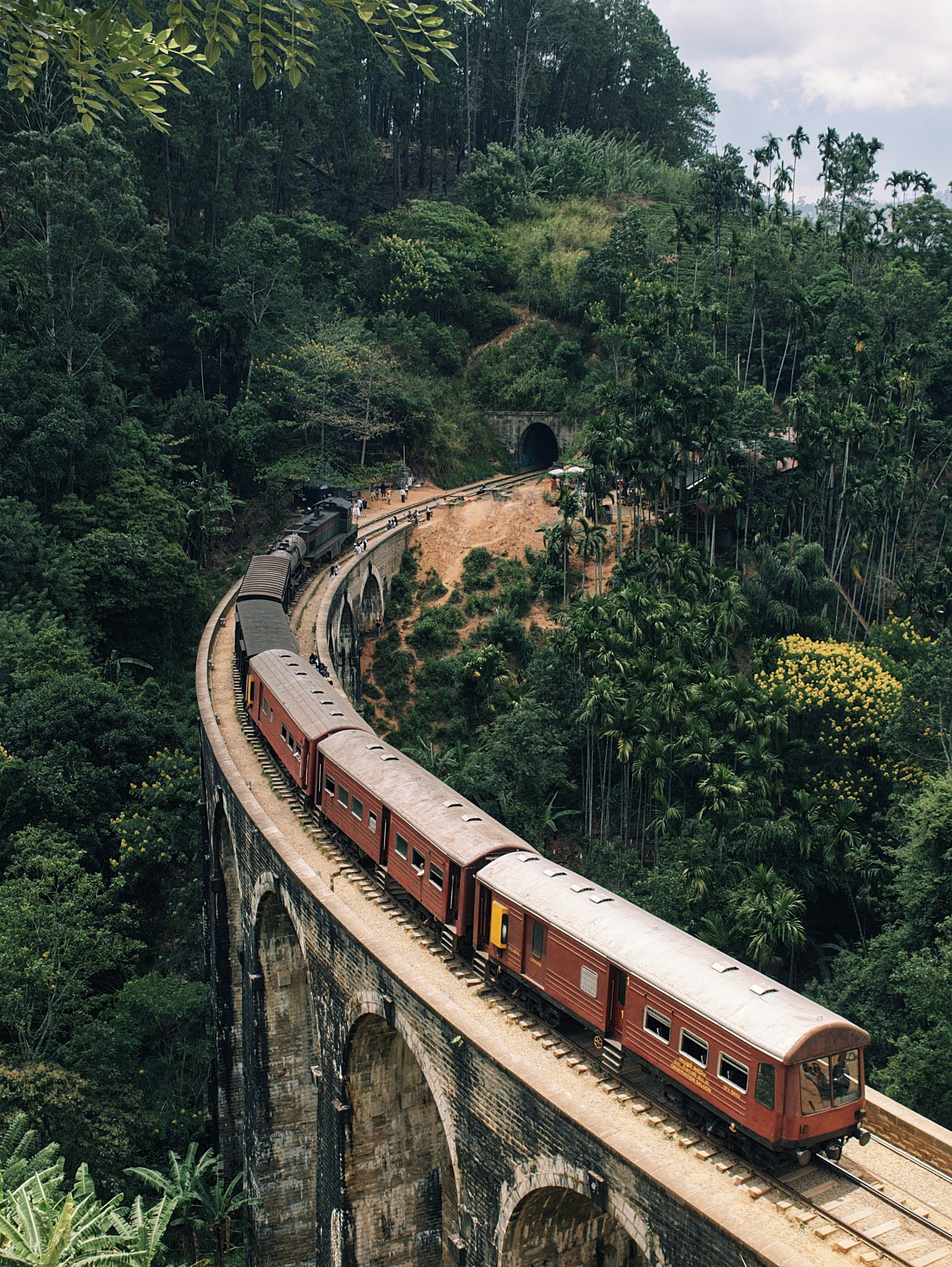 Red train crosses a viaduct surrounded by lush green forest.