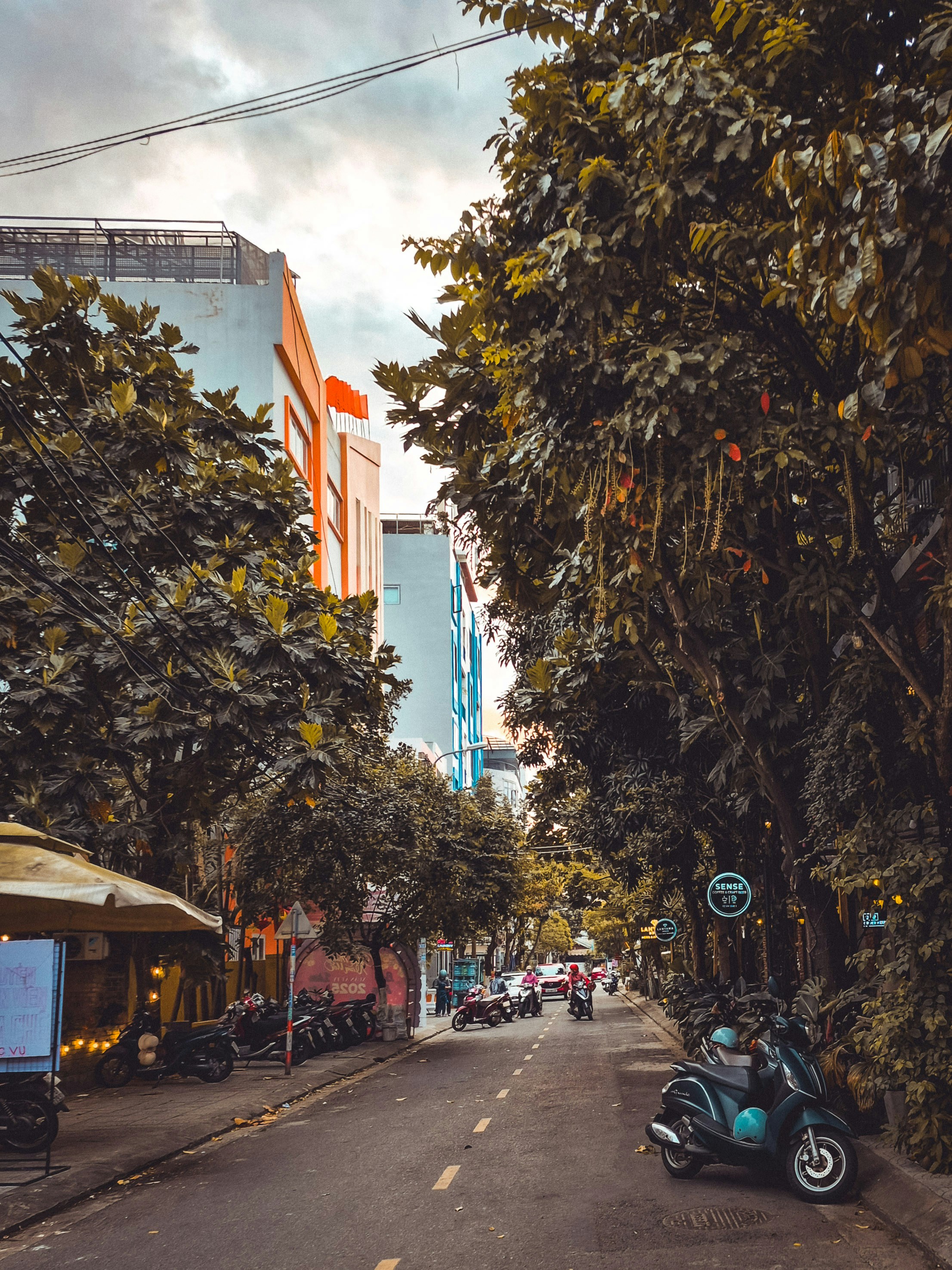 Street scene with trees, buildings, and parked motorcycles.