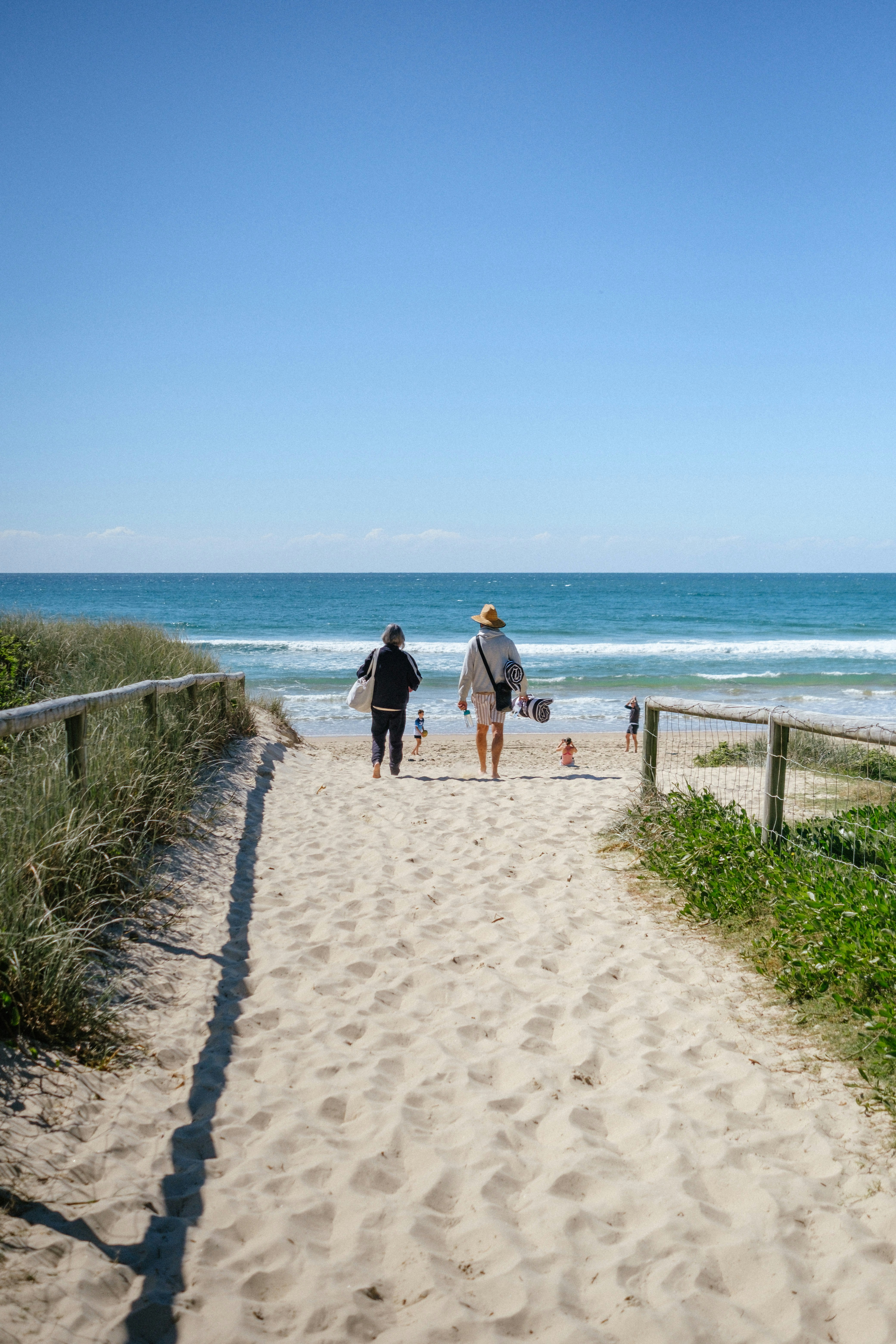 Journey to the Shoreline
