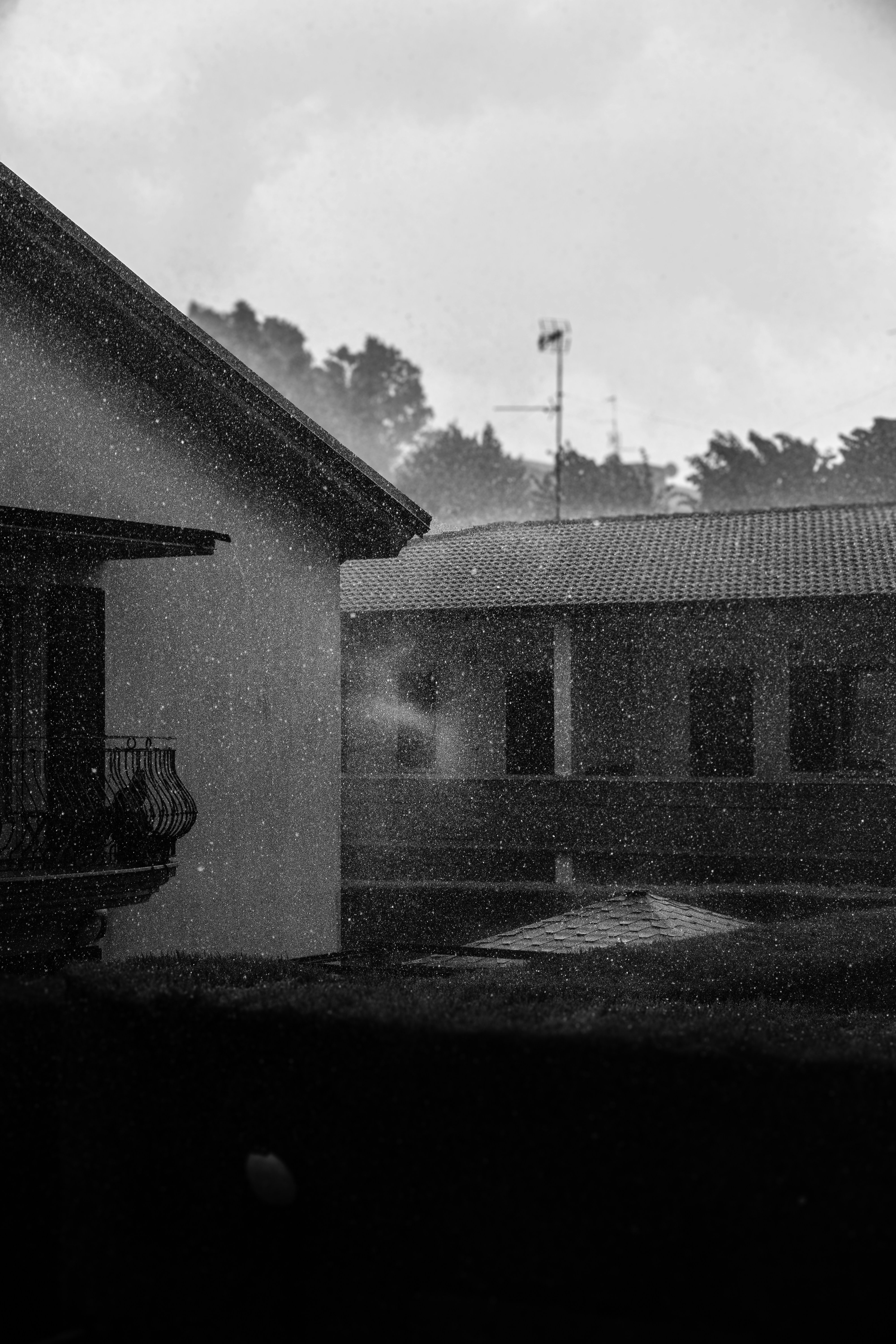 Whispers of a Rainy Day