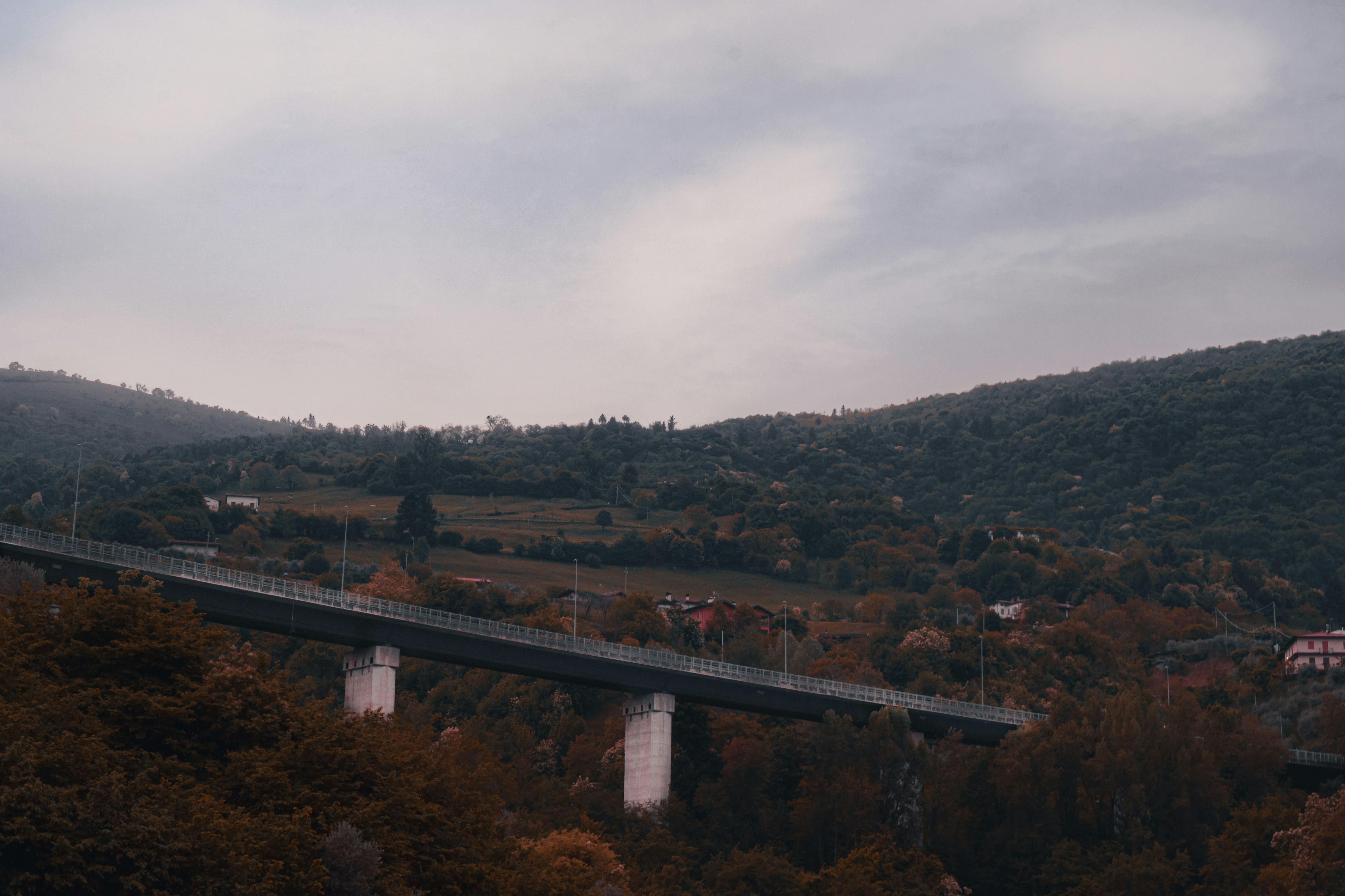 Bridging Nature and Infrastructure