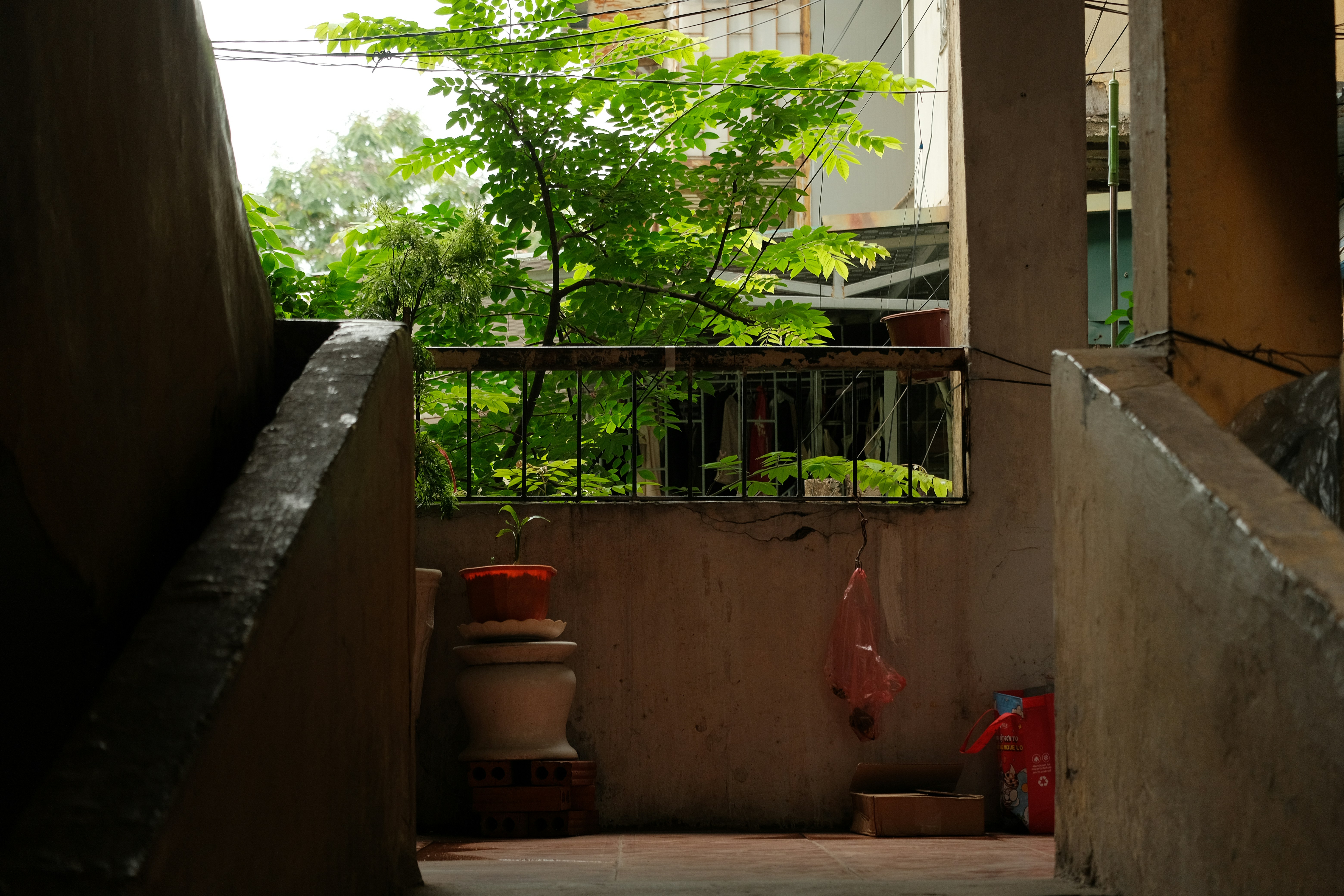 Green foliage seen through a balcony railing