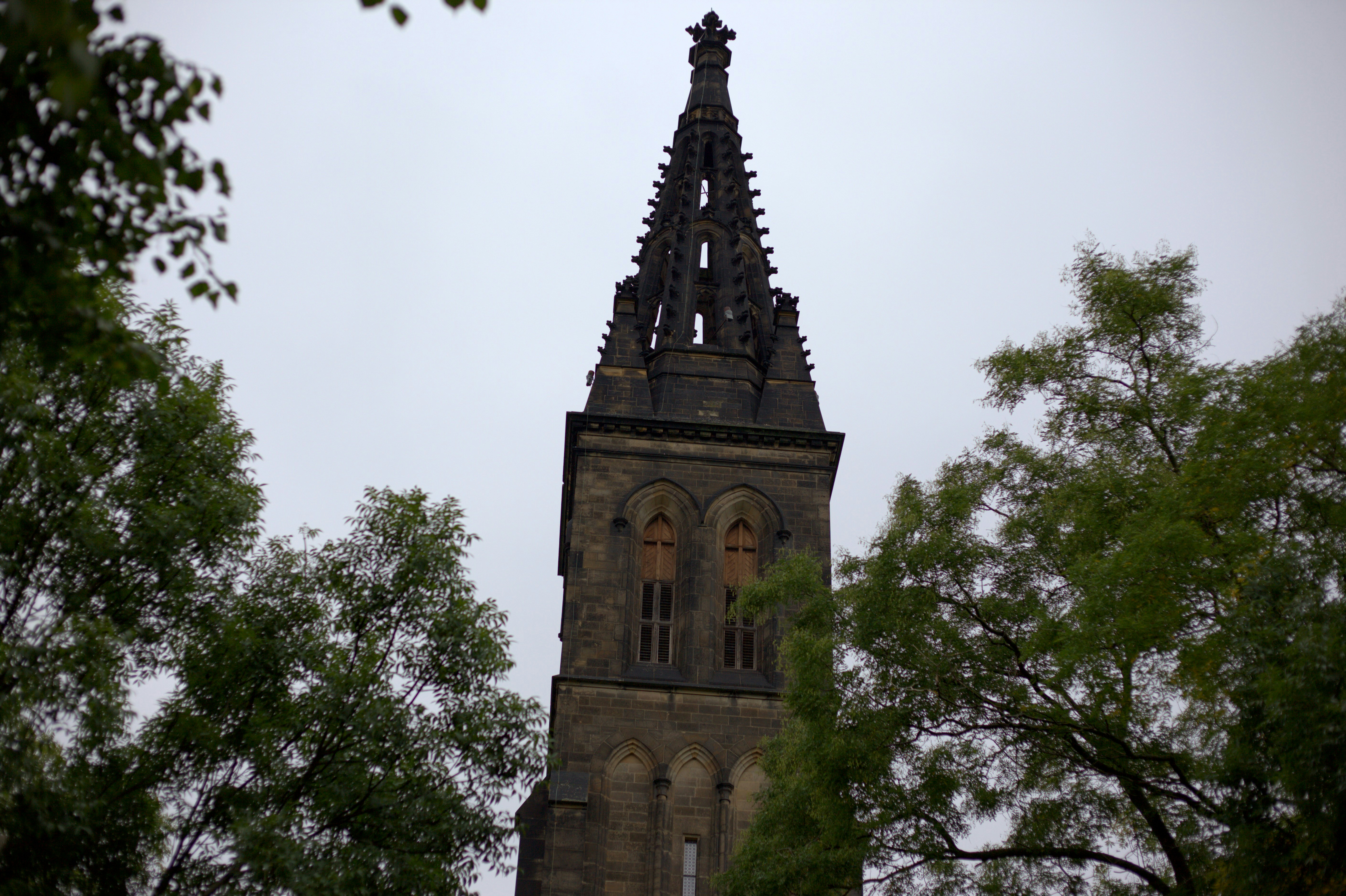 Gothic tower rising above lush green trees under a cloudy sky. The architectural details of the spire contrast with the surrounding foliage.