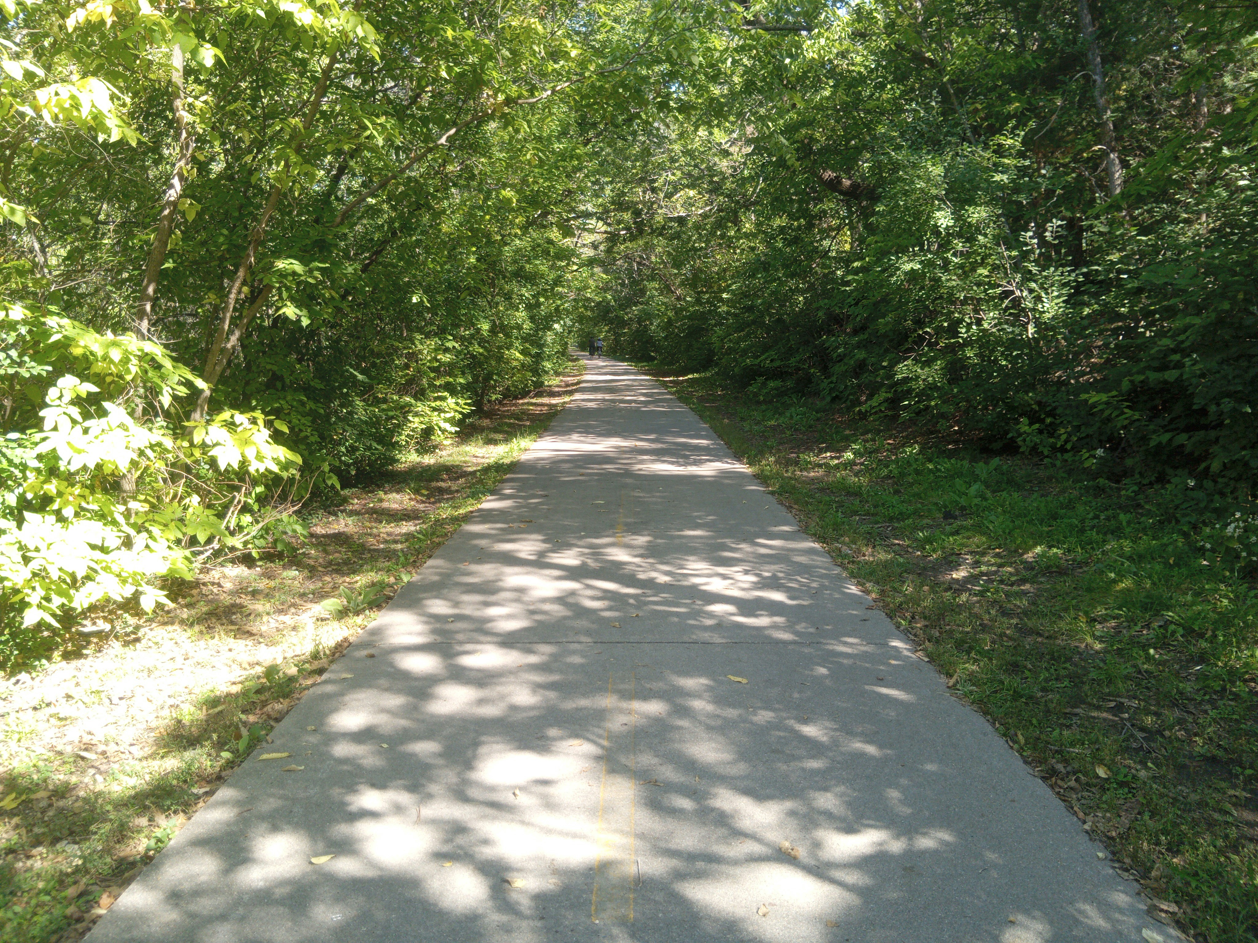 Concrete pathway surrounded by lush greenery, leading into a tranquil wooded area.