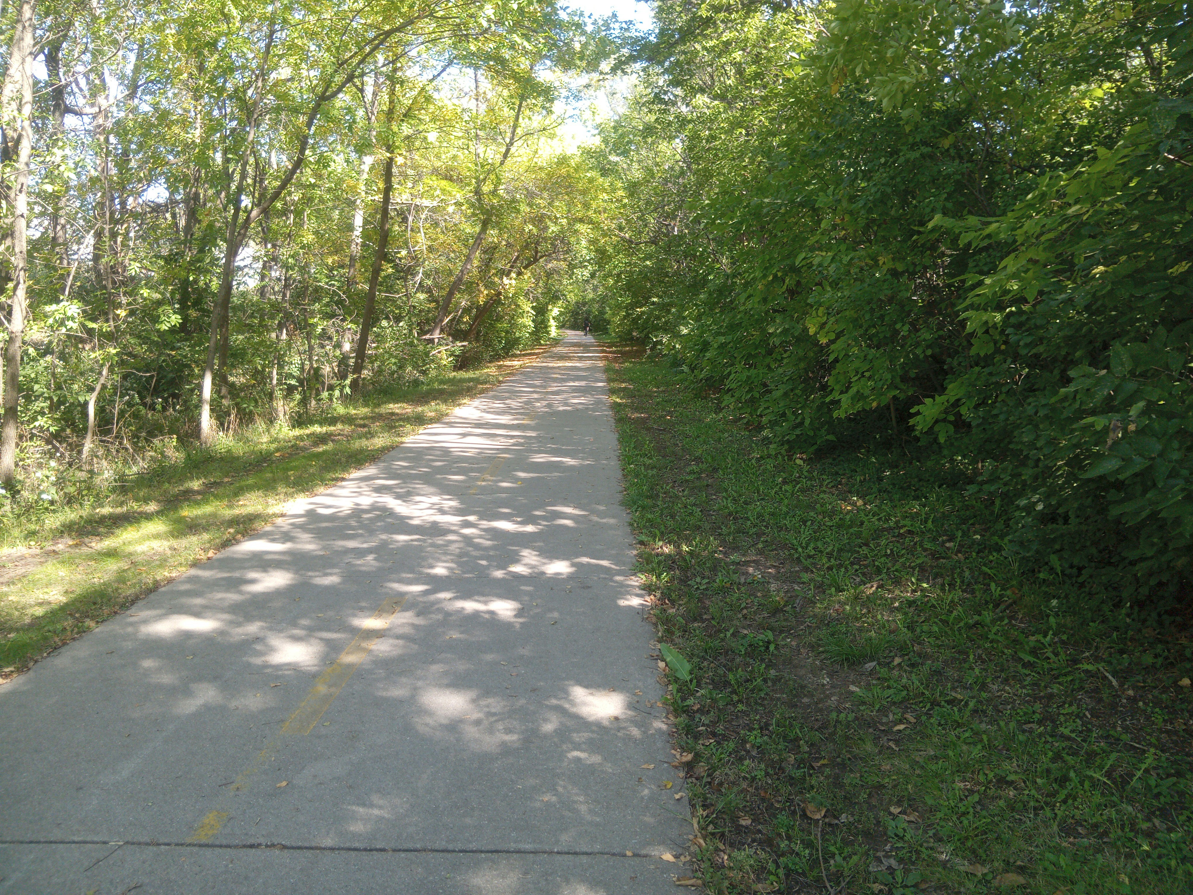 A serene paved trail flanked by lush greenery, inviting exploration and tranquility in a natural setting.