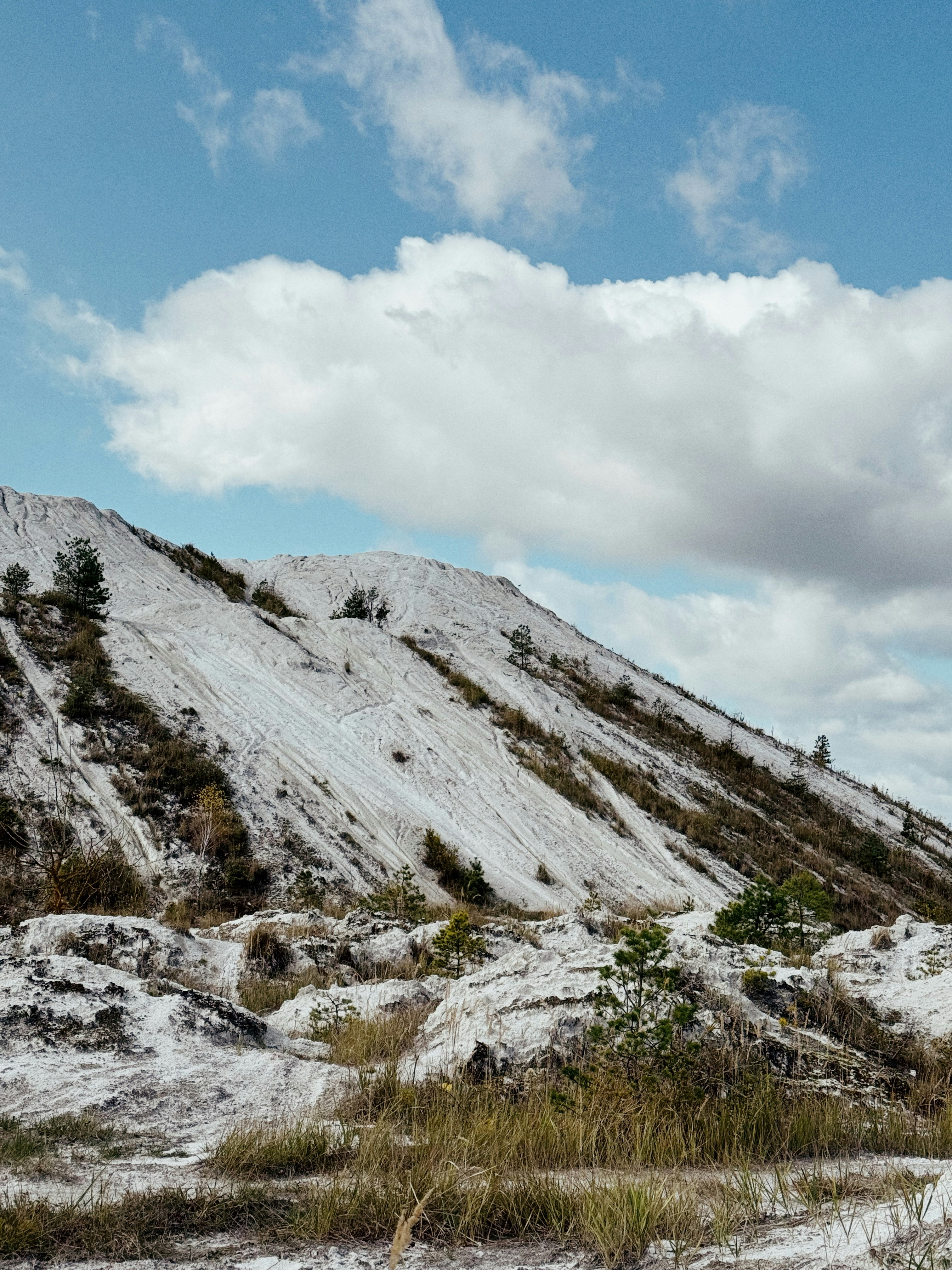 Whispers of the White Hills