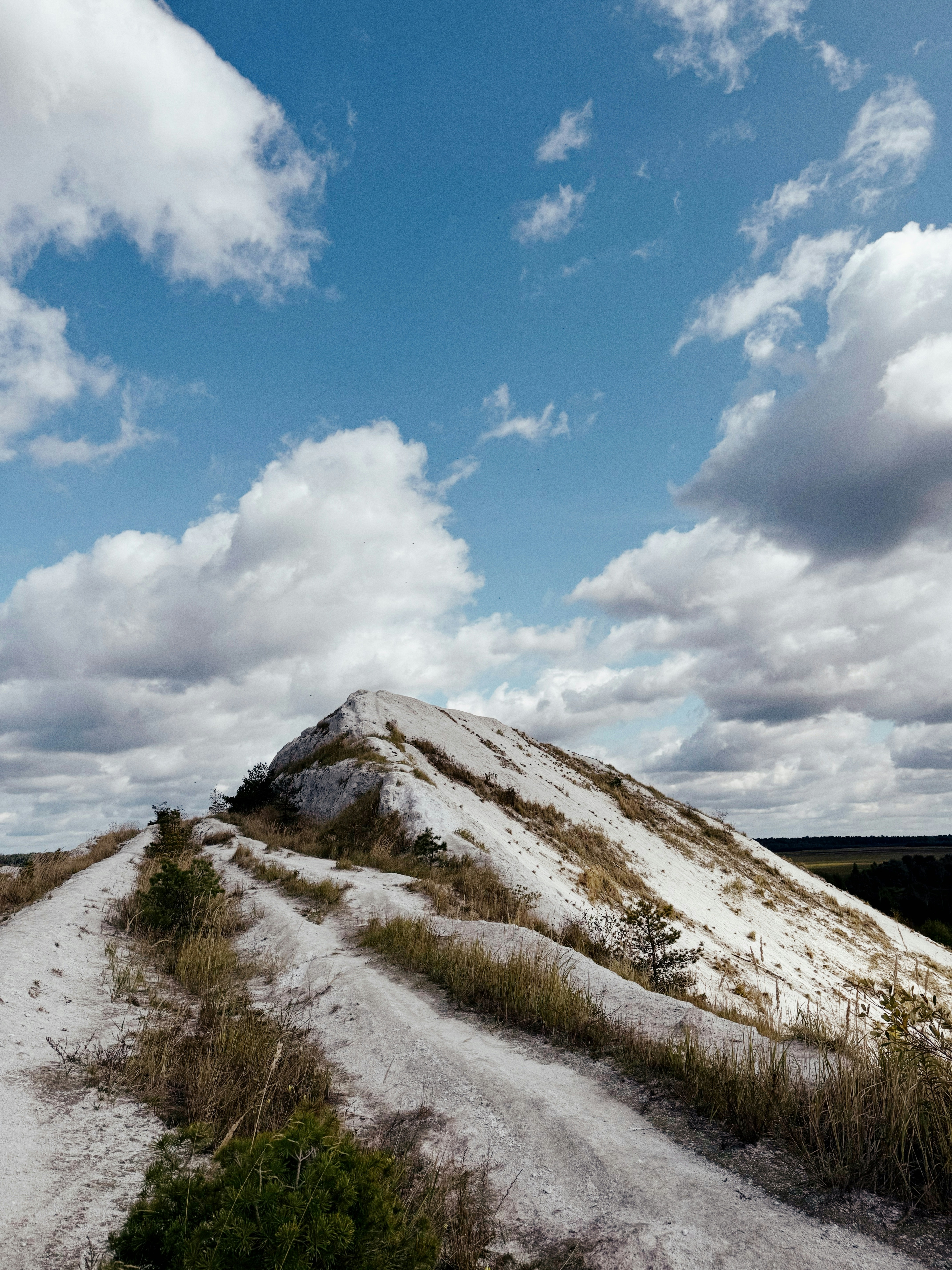 Whispers of the Windswept Ridge
