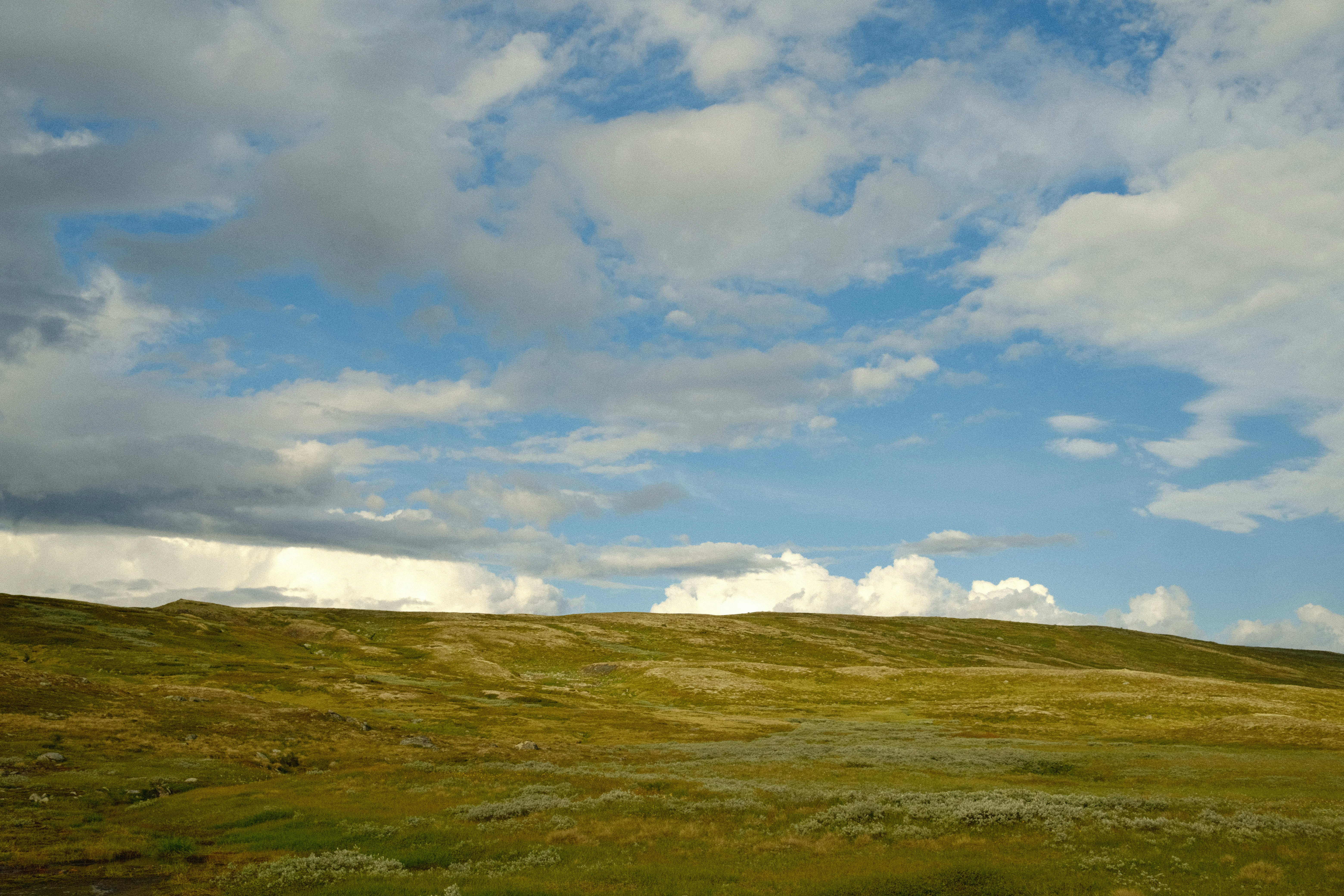 Grassy hill under a cloudy blue sky
