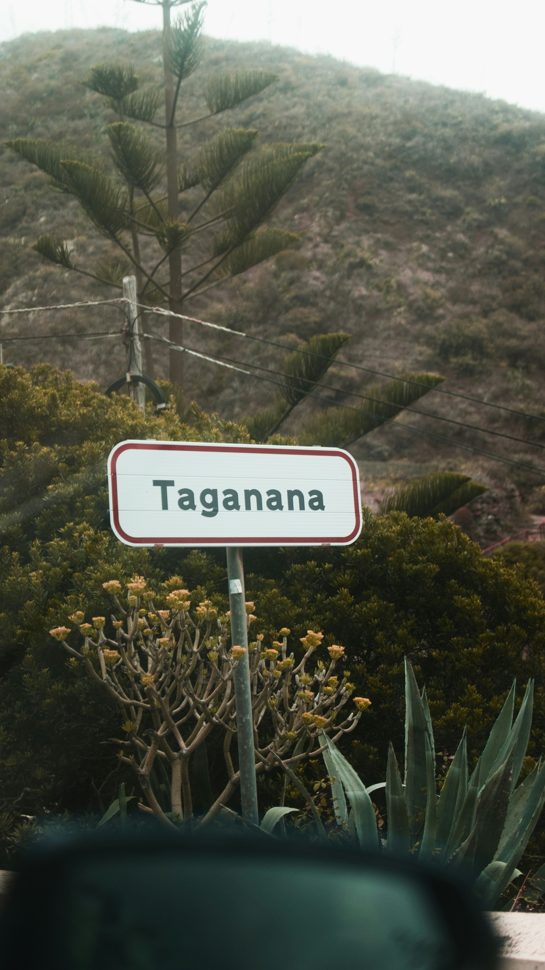 Signpost of Taganana: A Gateway to Nature's Embrace