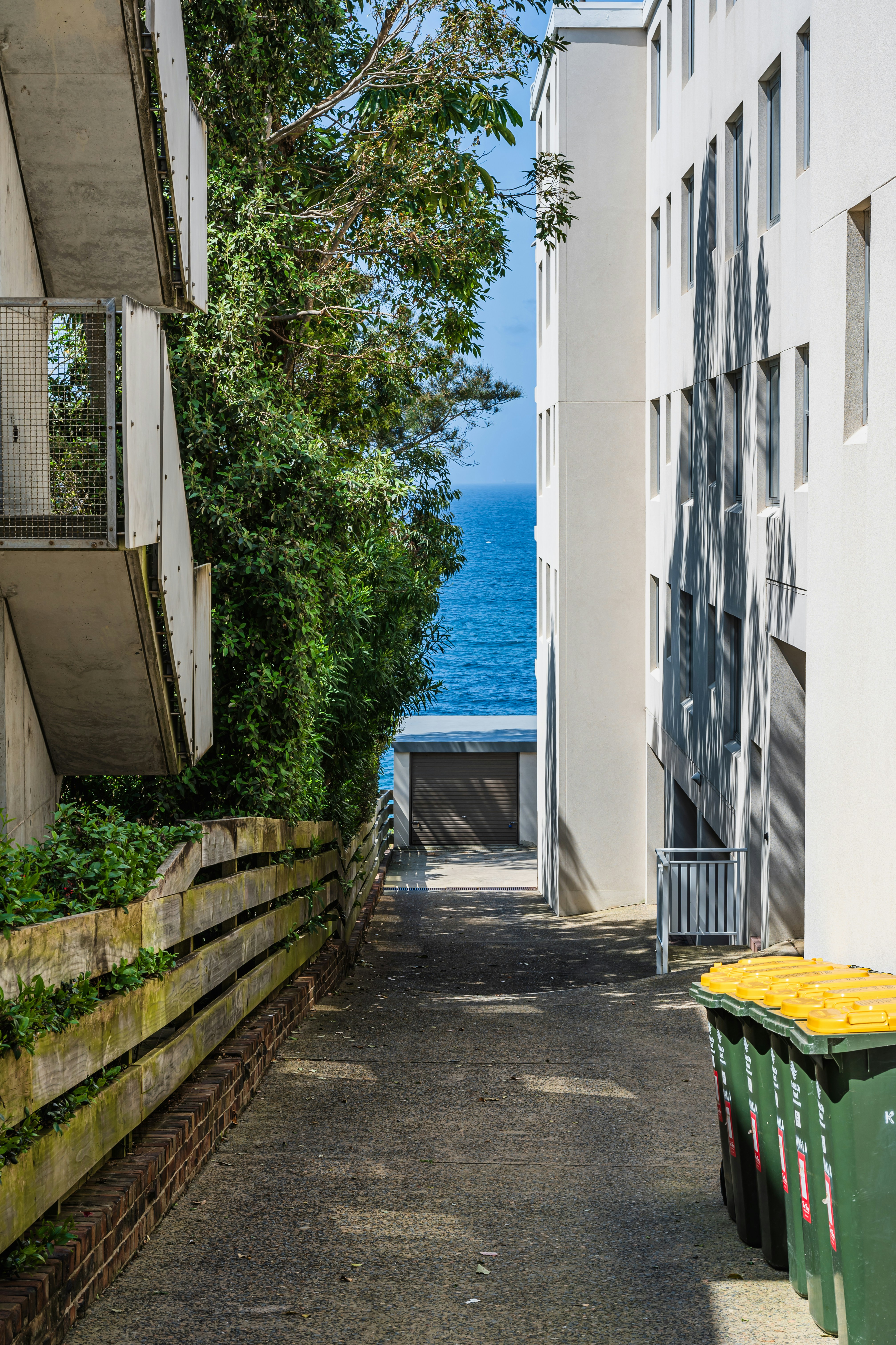 Seaside Passageway: A Gateway to Tranquility