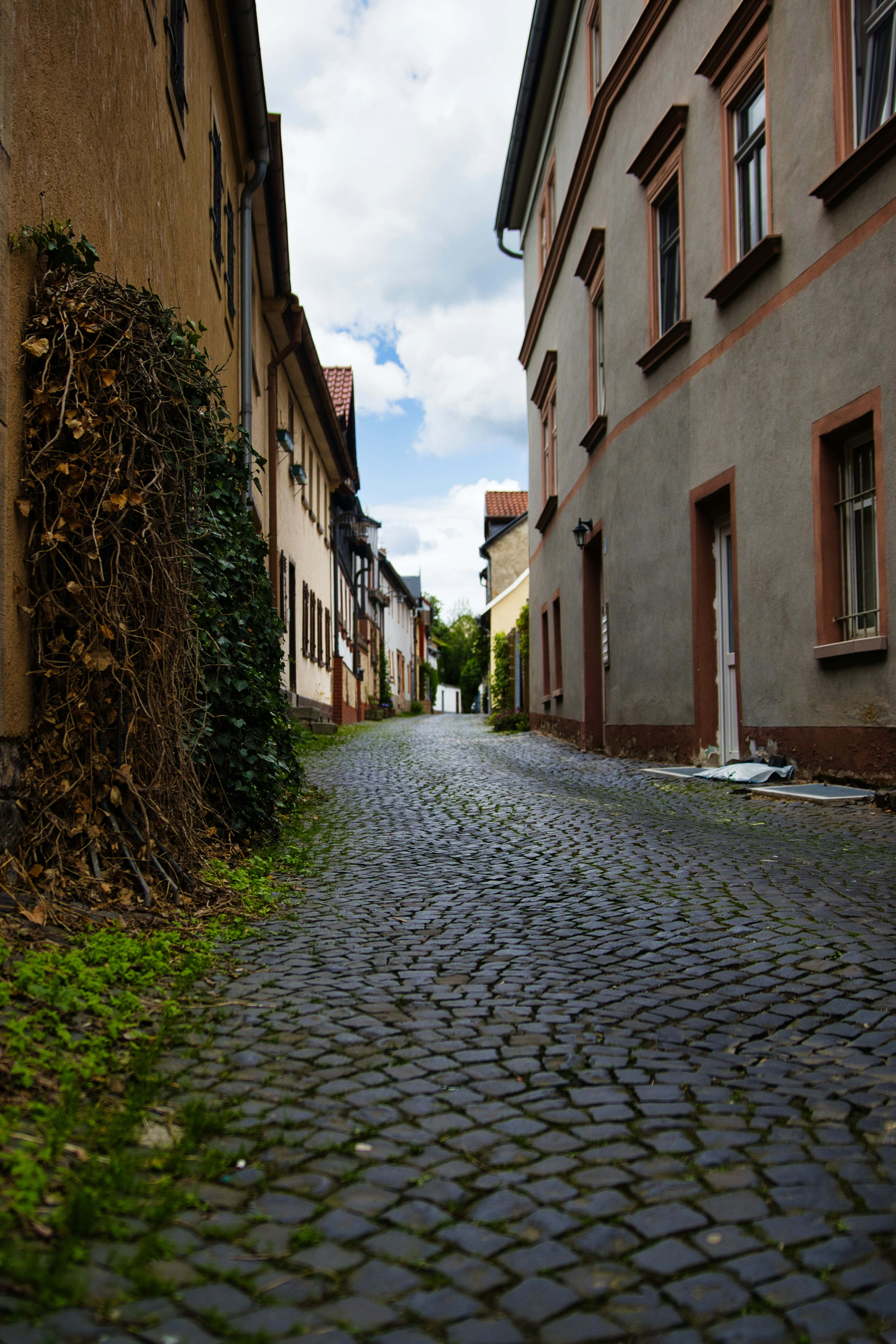 Narrow cobblestone street flanked by rustic buildings, leading towards an inviting light at the end. Lush greenery and dried foliage add texture to the scene.
