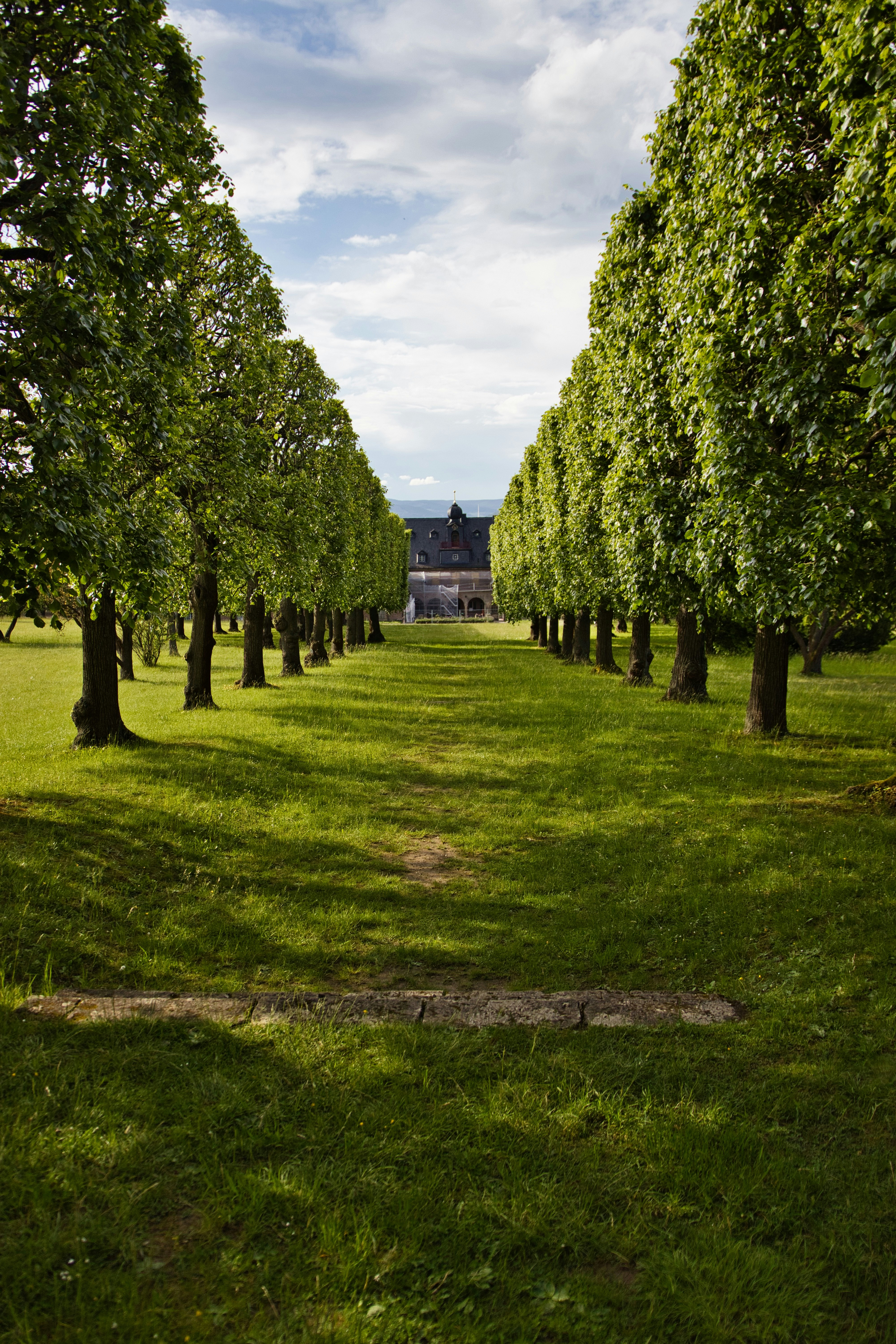 A symmetrical tree-lined path leading to a building.