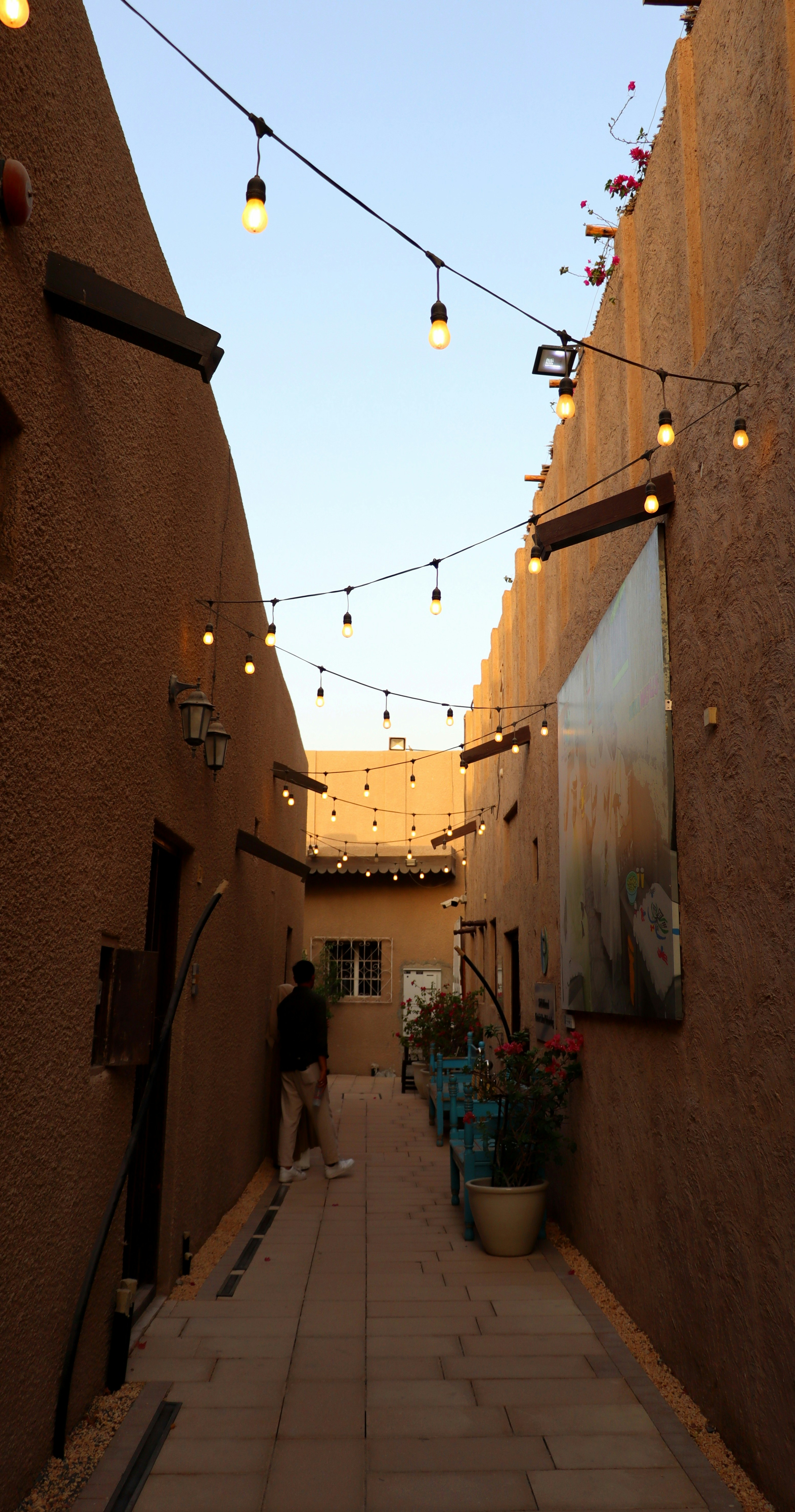 Twilight Serenade in a Desert Alley