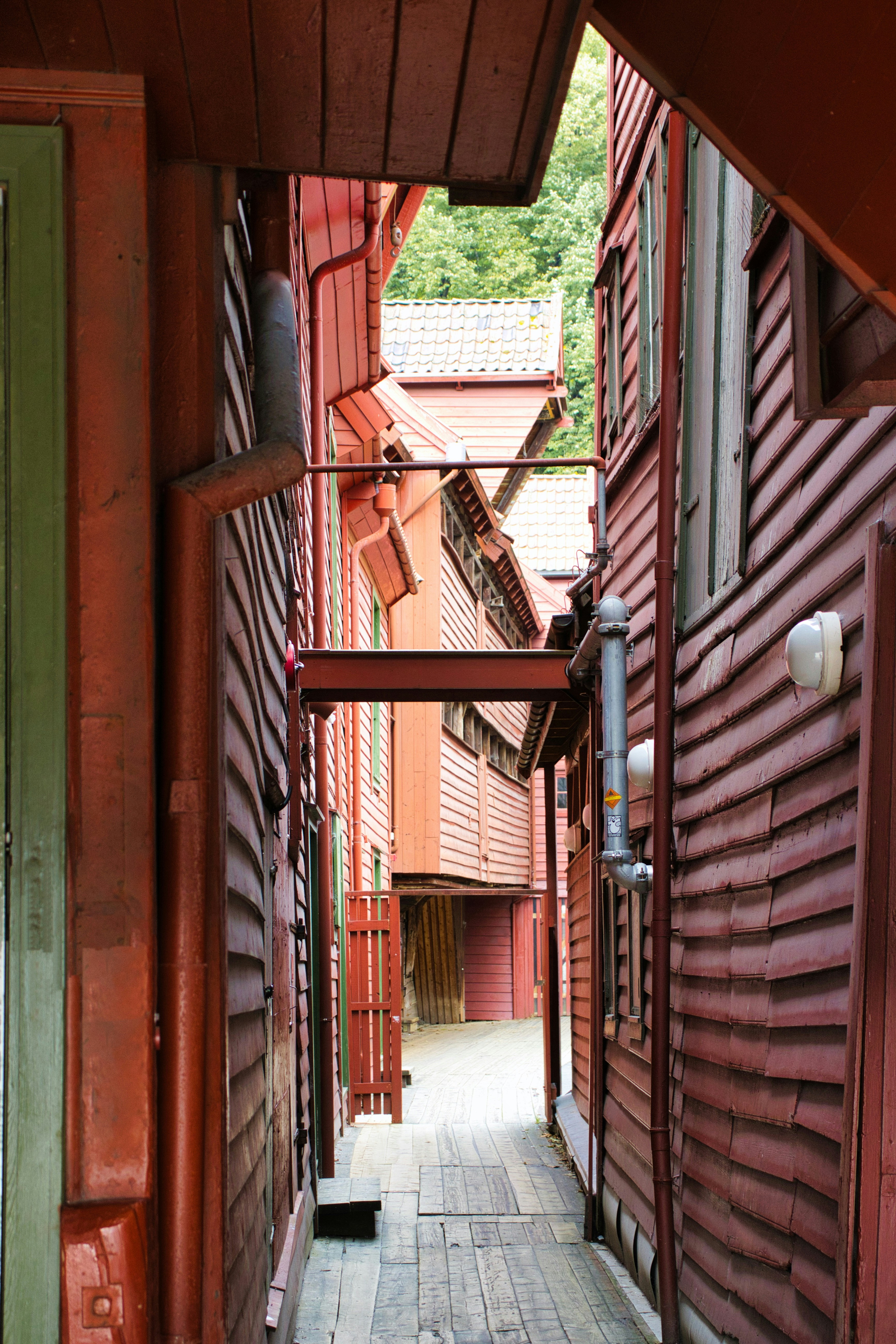 Whispers of the Past: A Journey Through Wooden Avenues