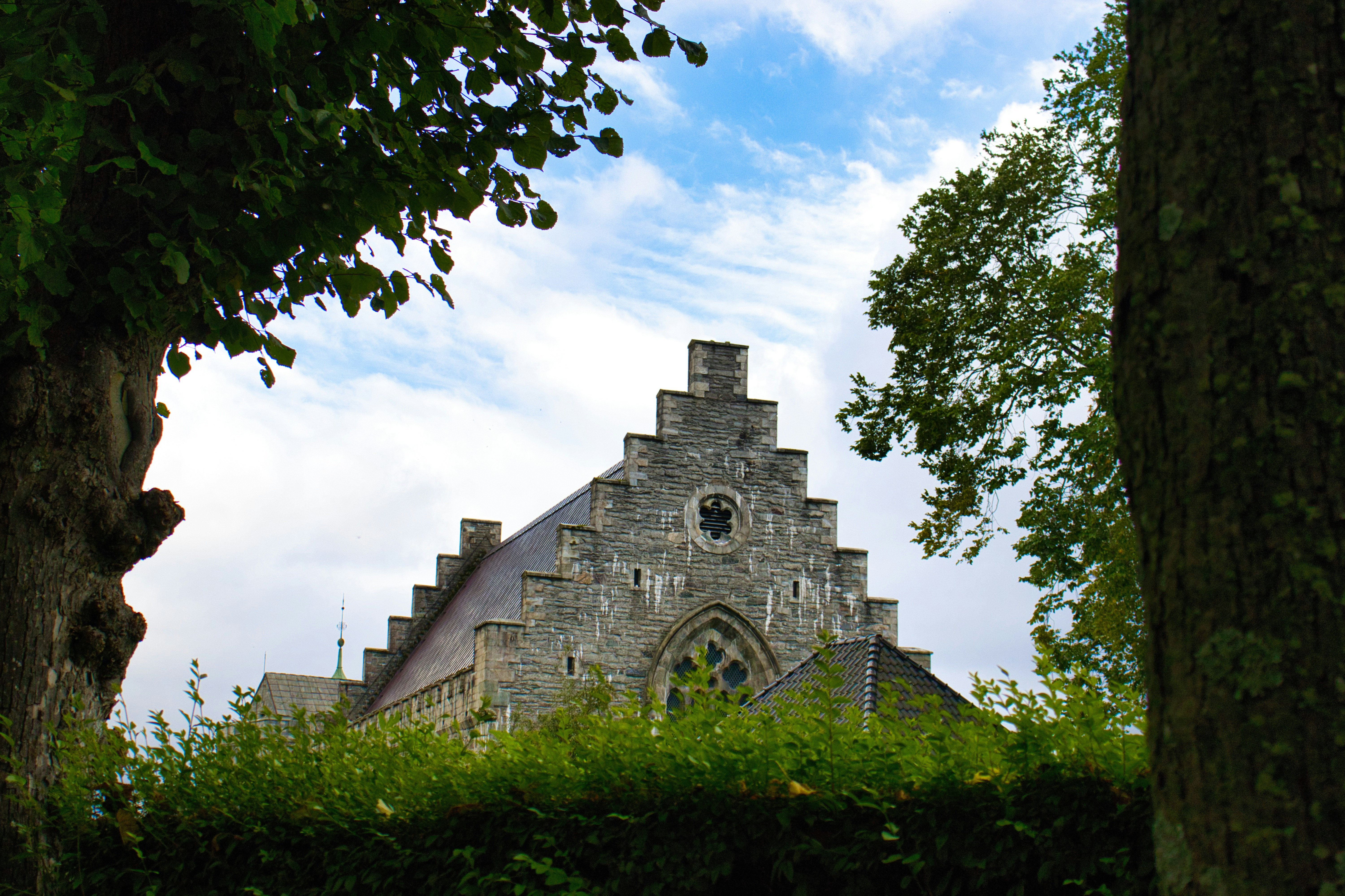 Gothic revival church peeking through lush greenery under a cloudy sky. The intricate architecture highlights the historical significance of the structure.
