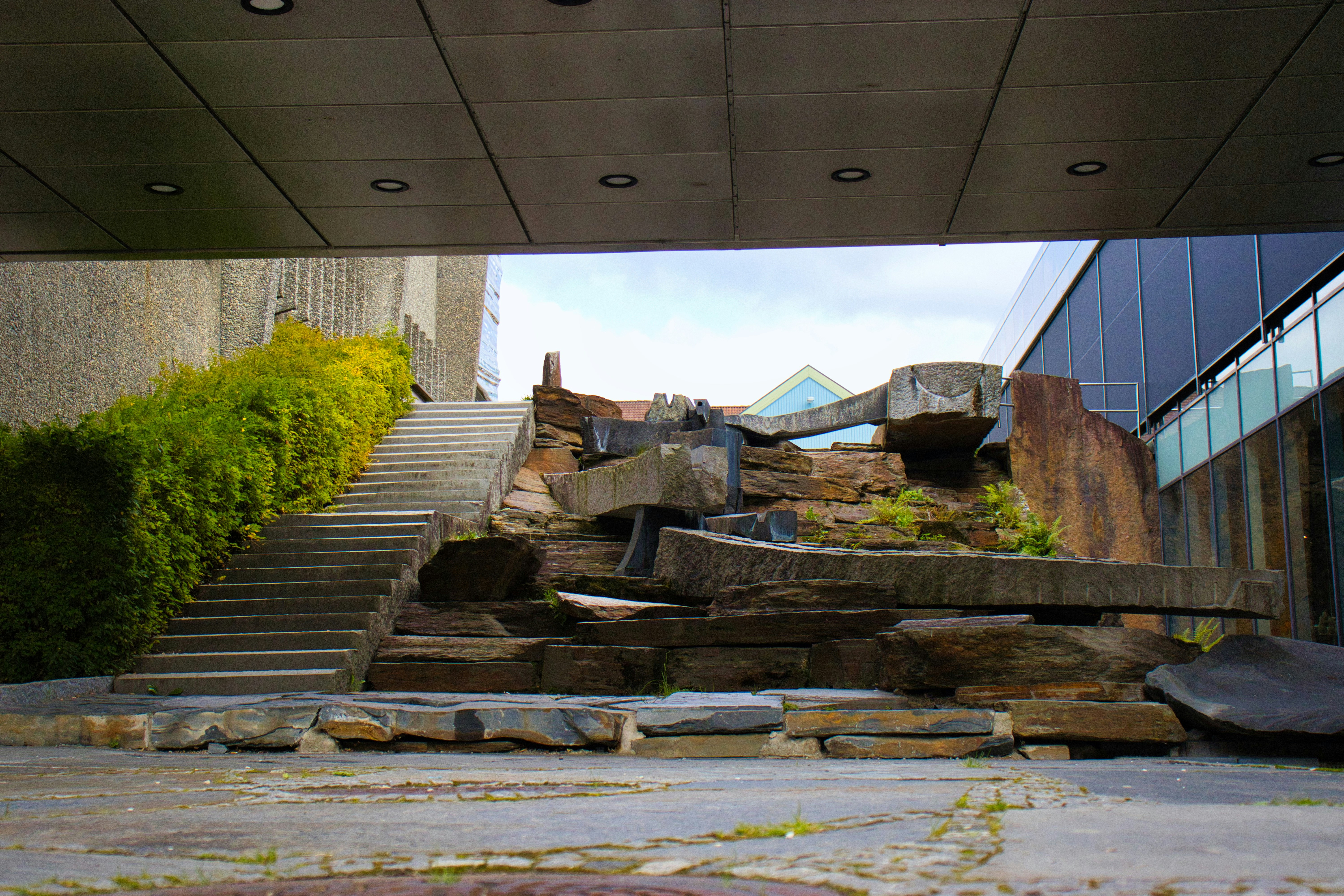 Geometric Harmony: Nature Meets Architecture
