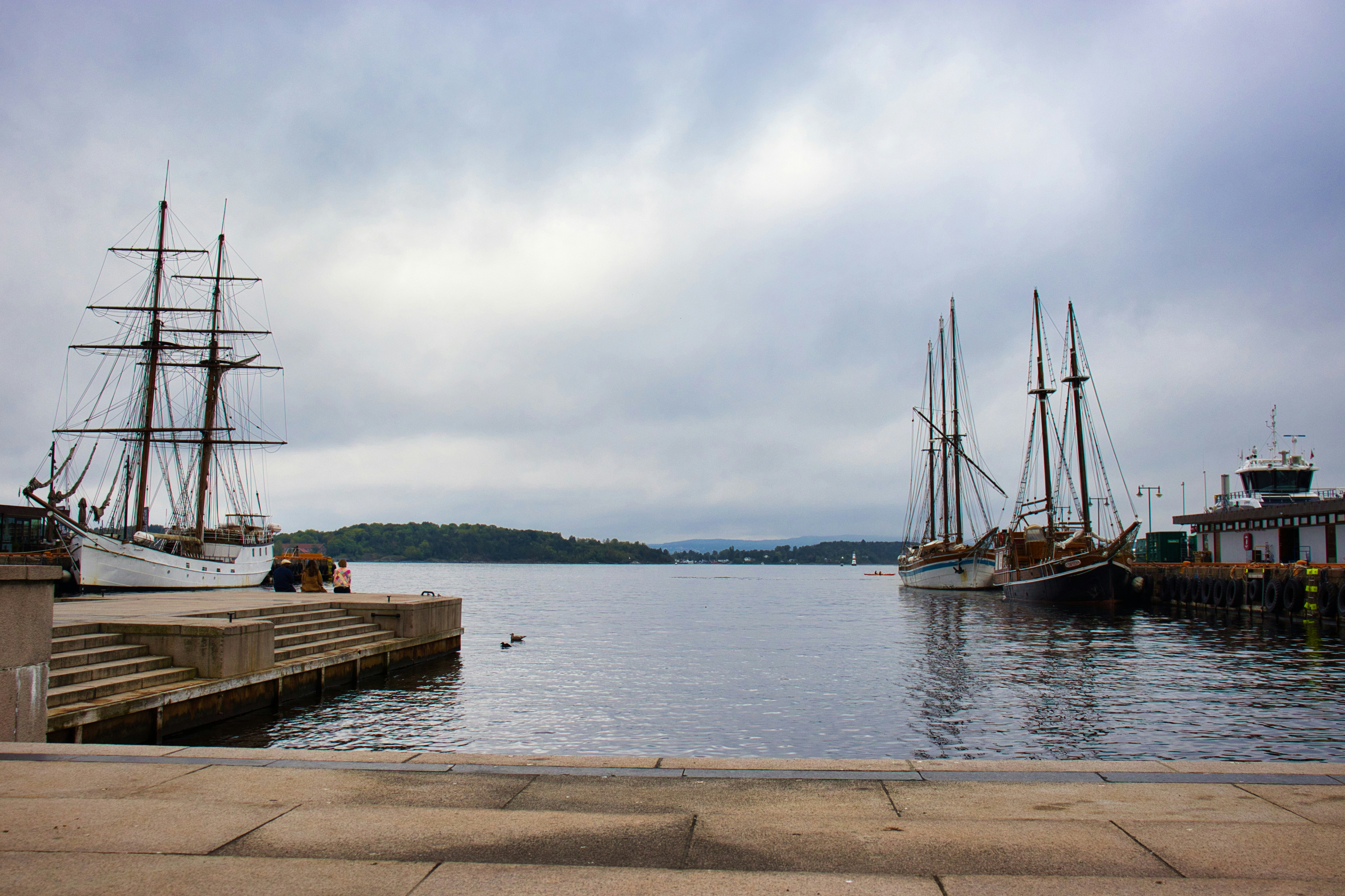 Two tall ships docked at a tranquil harbor under a cloudy sky, with a glimpse of distant hills. A lone duck glides across the water's surface.
