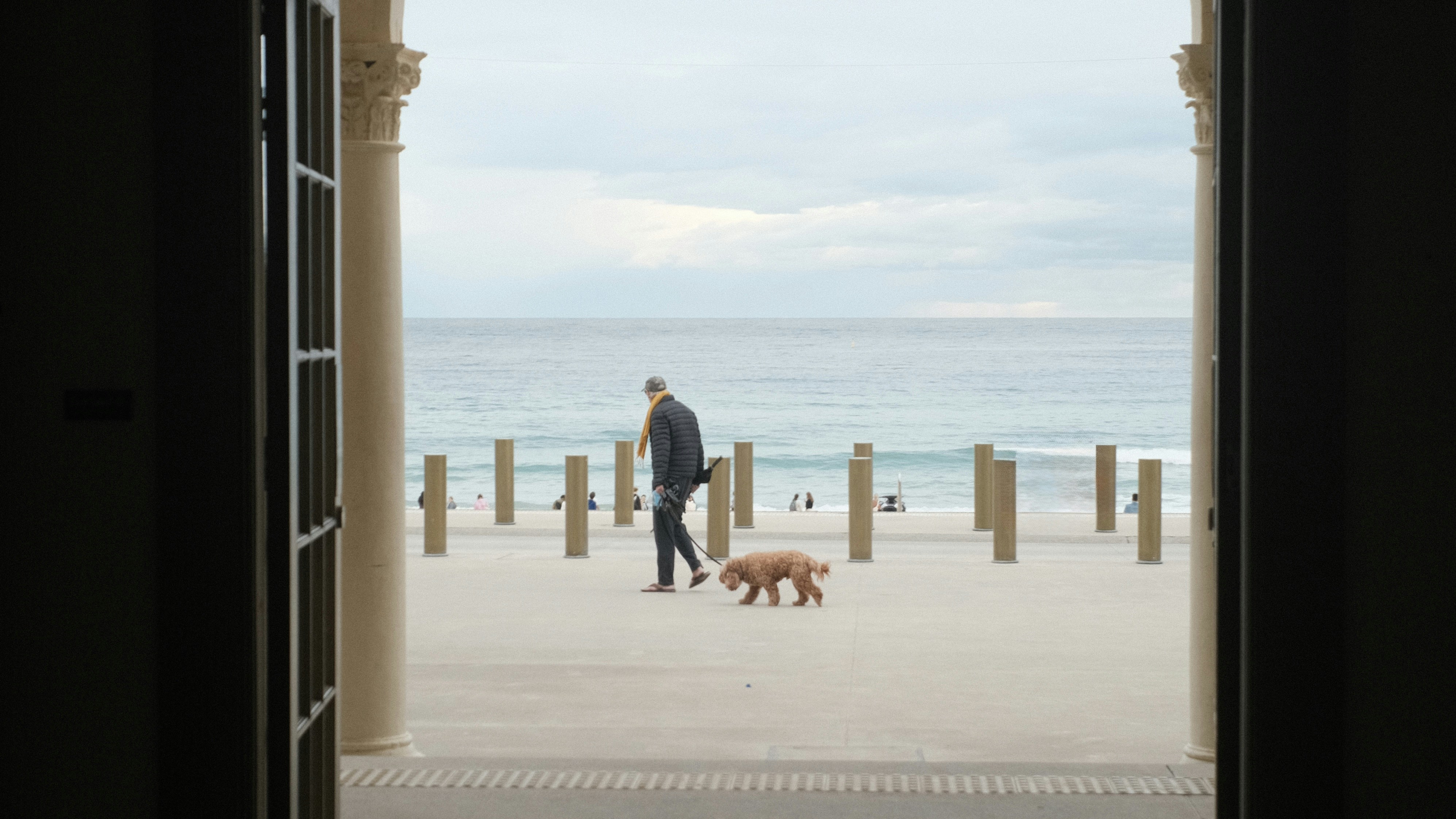 A Stroll by the Shoreline