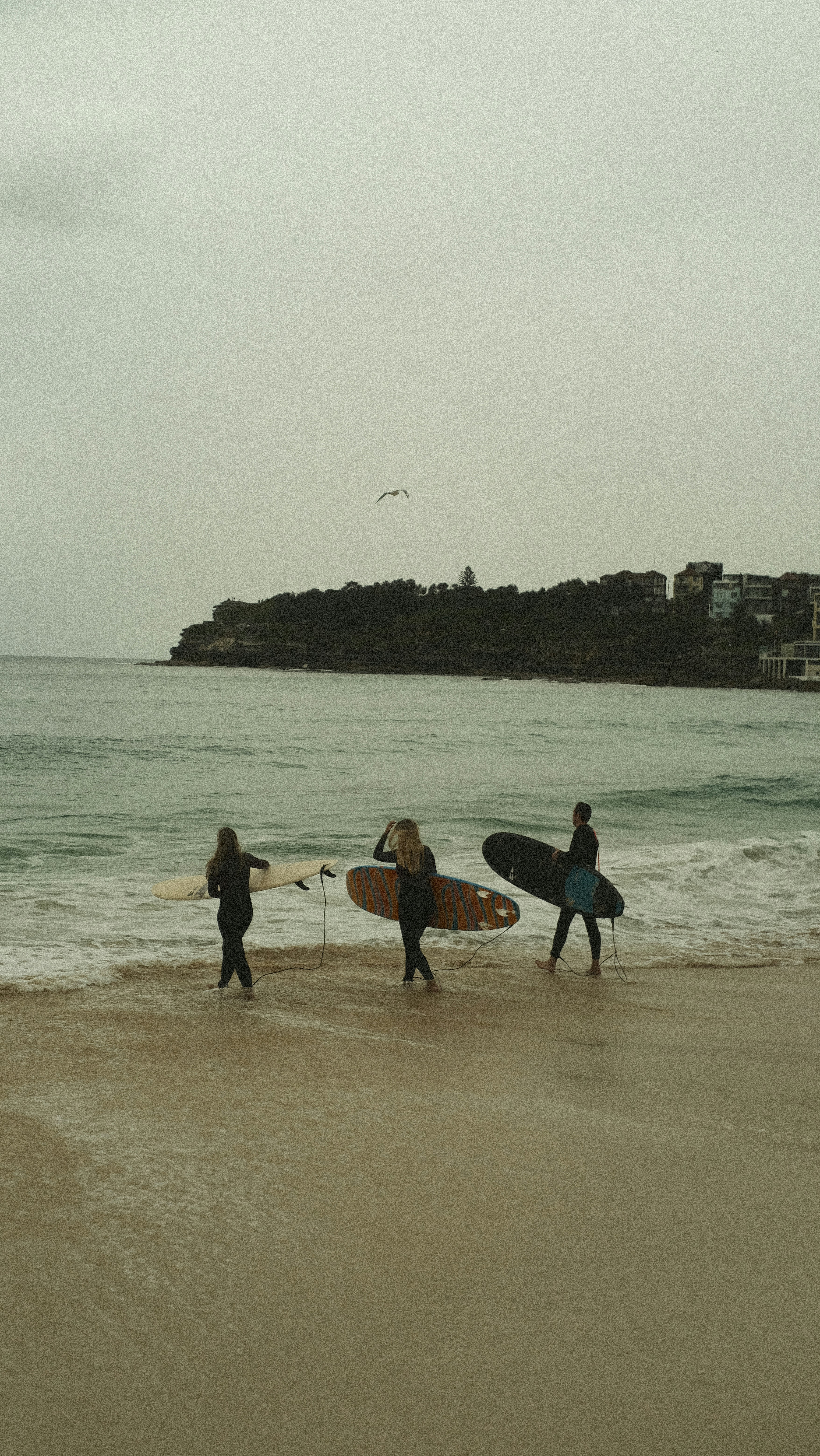 Surf's Prelude: A Journey to the Waves