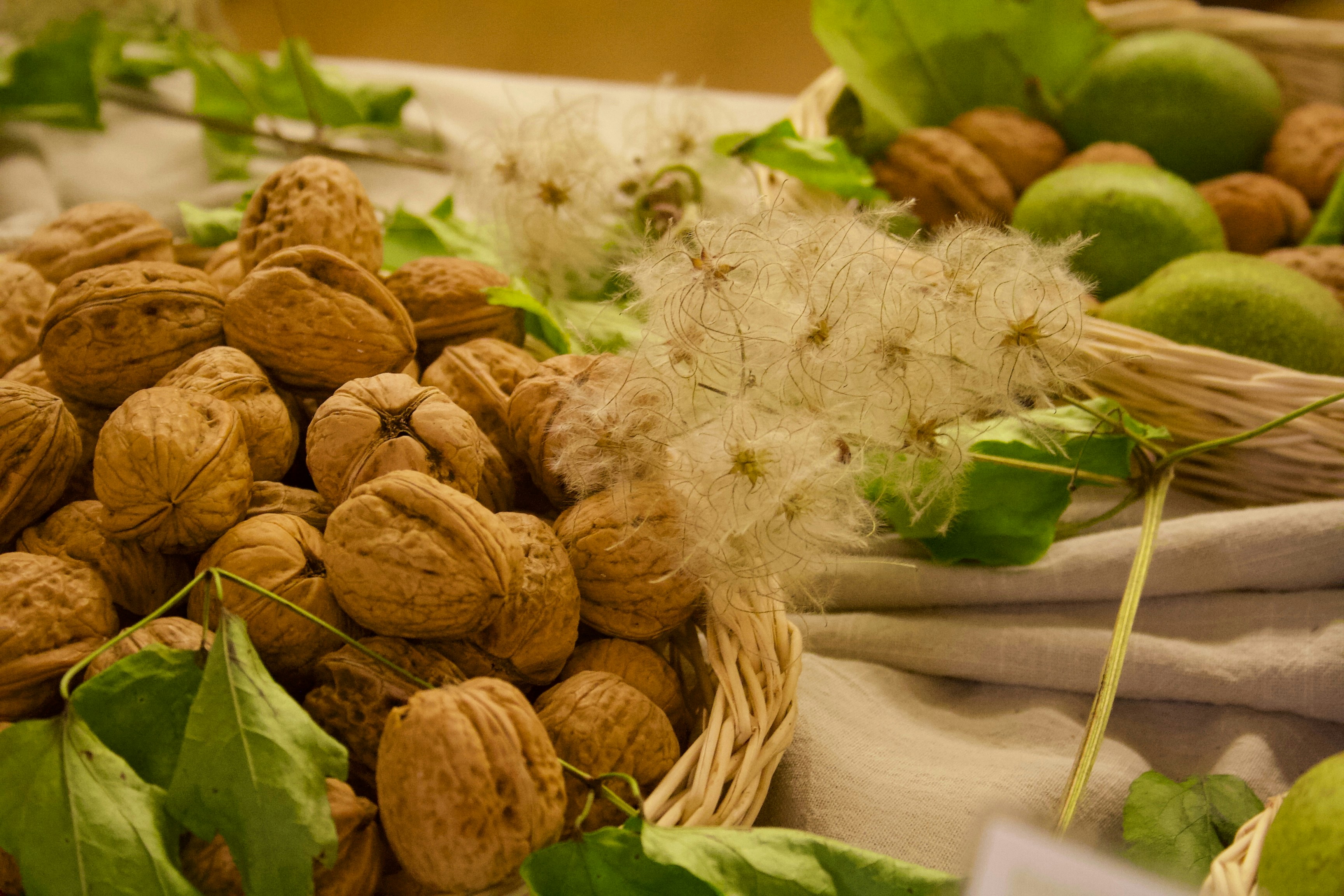Harvest Harmony: A Bounty of Nature's Delights