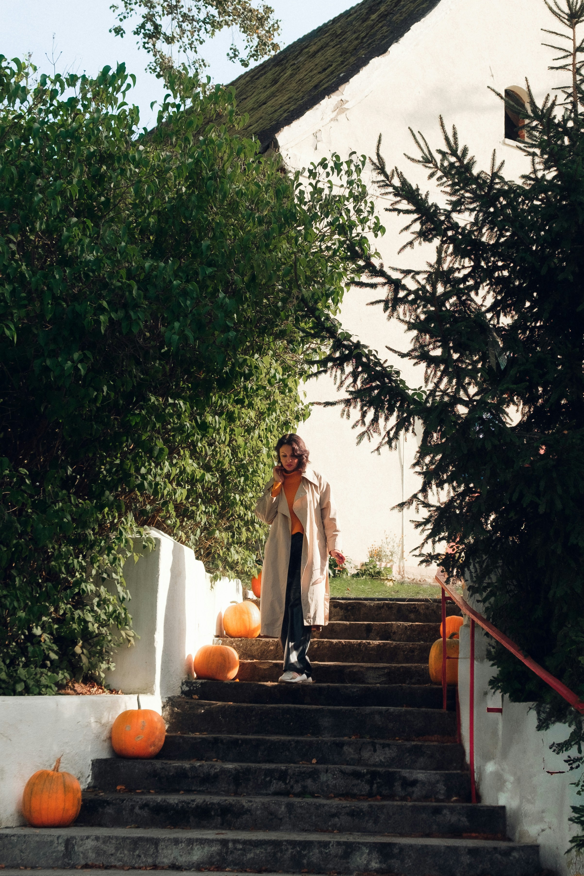 Autumnal Ascent: A Stroll Through Nature's Palette