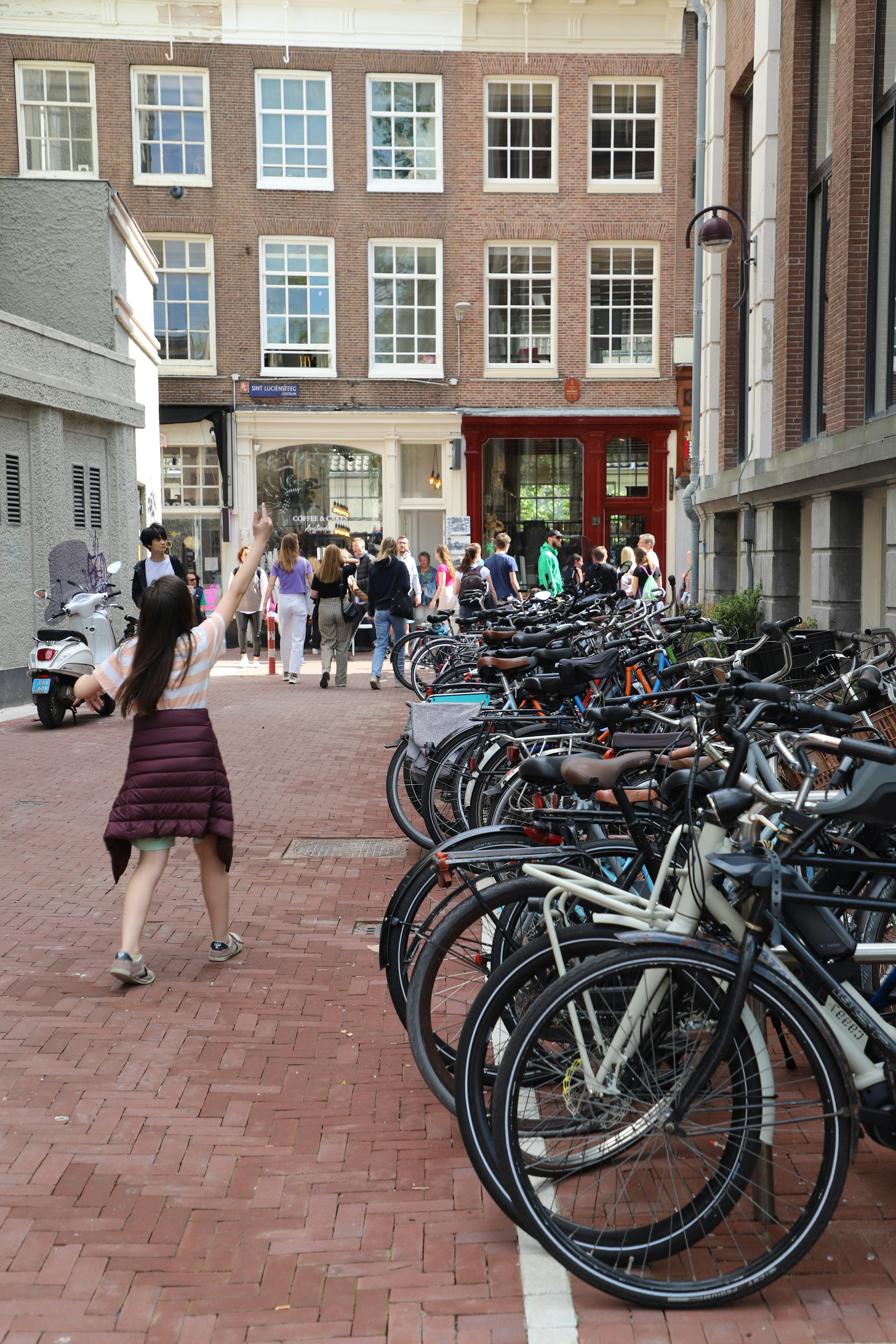 A Lively Stroll Through Urban Life