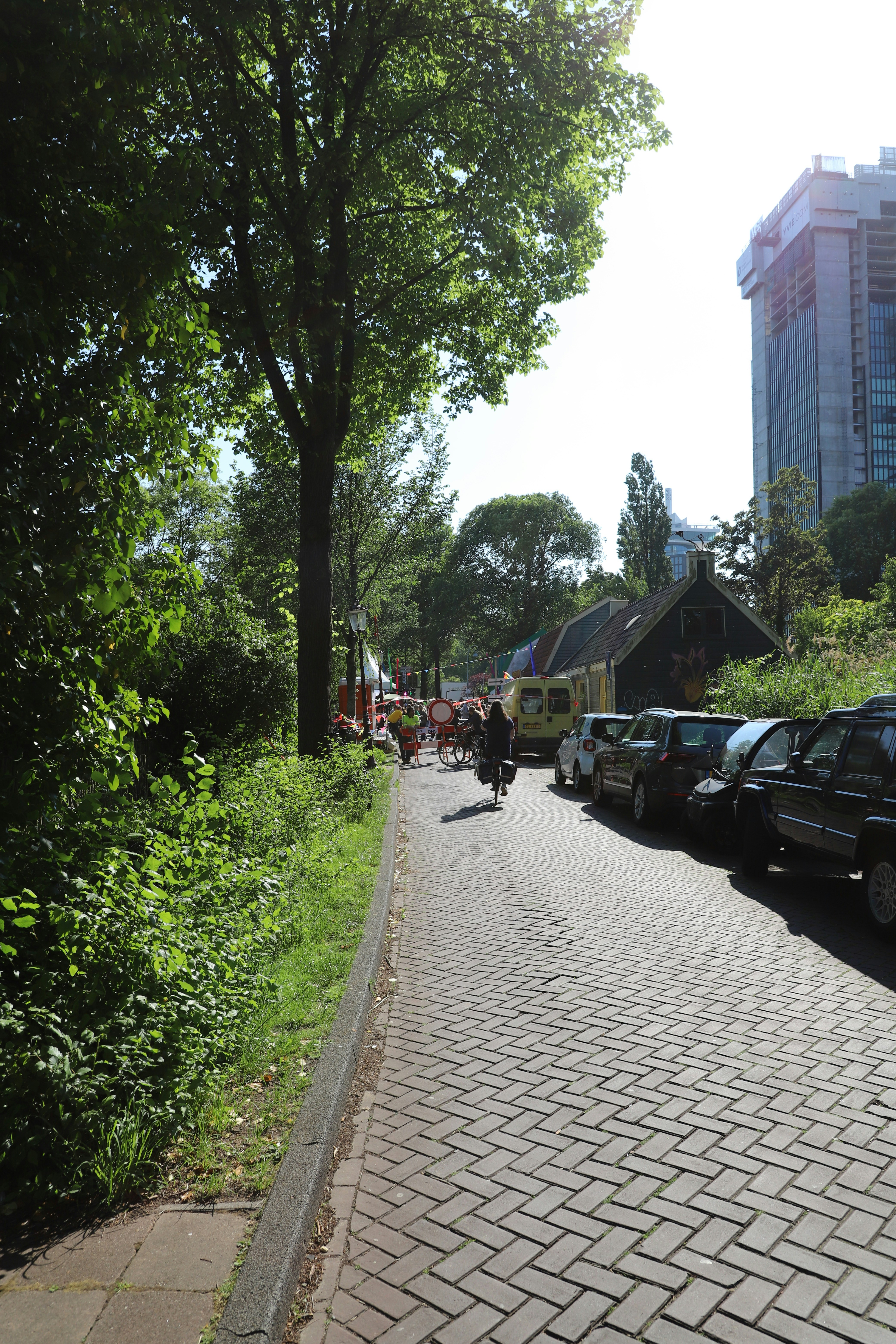 Urban Pathways: A Journey Through Nature and City Life