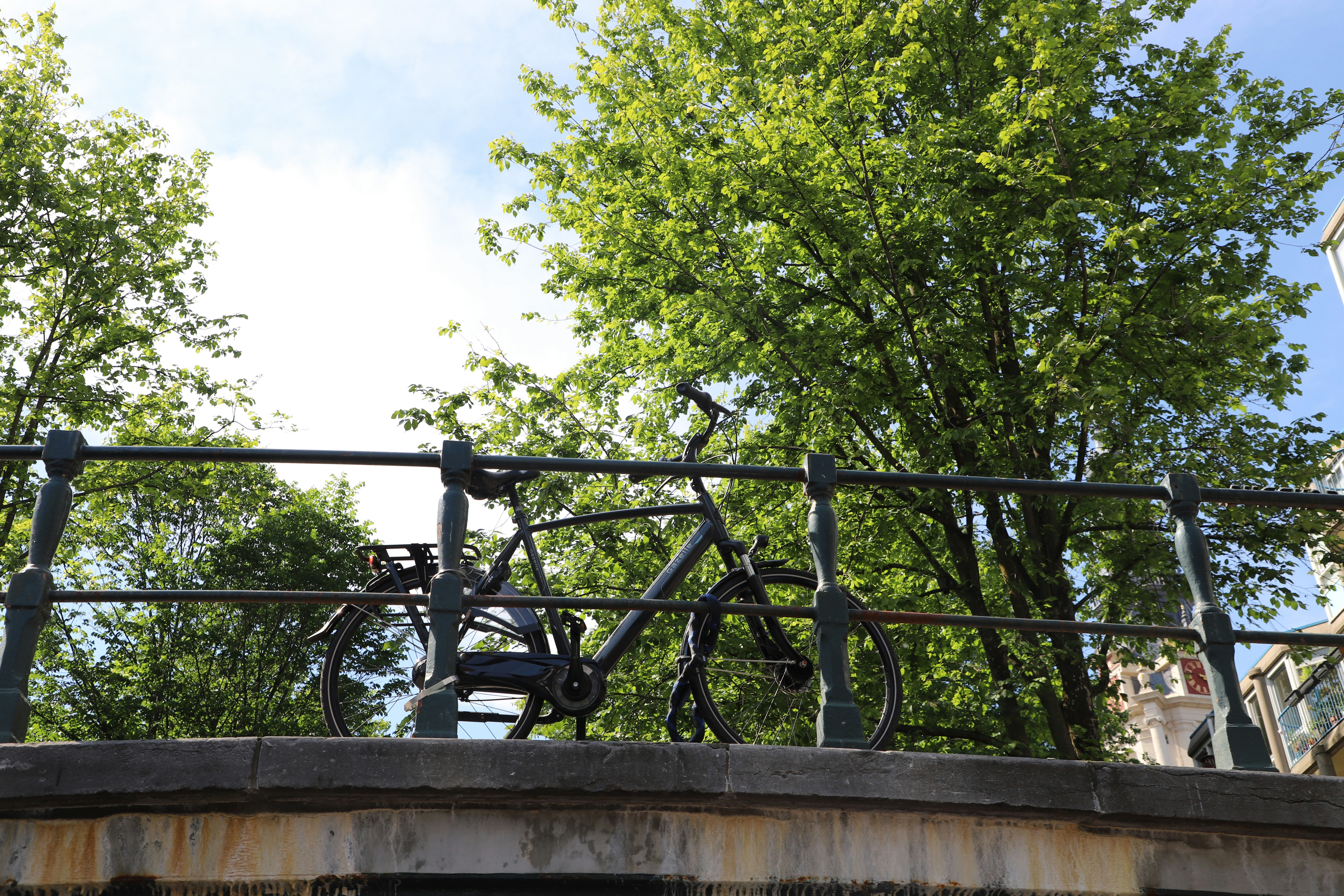 Urban Serenity: A Bicycle's Pause Amidst Nature