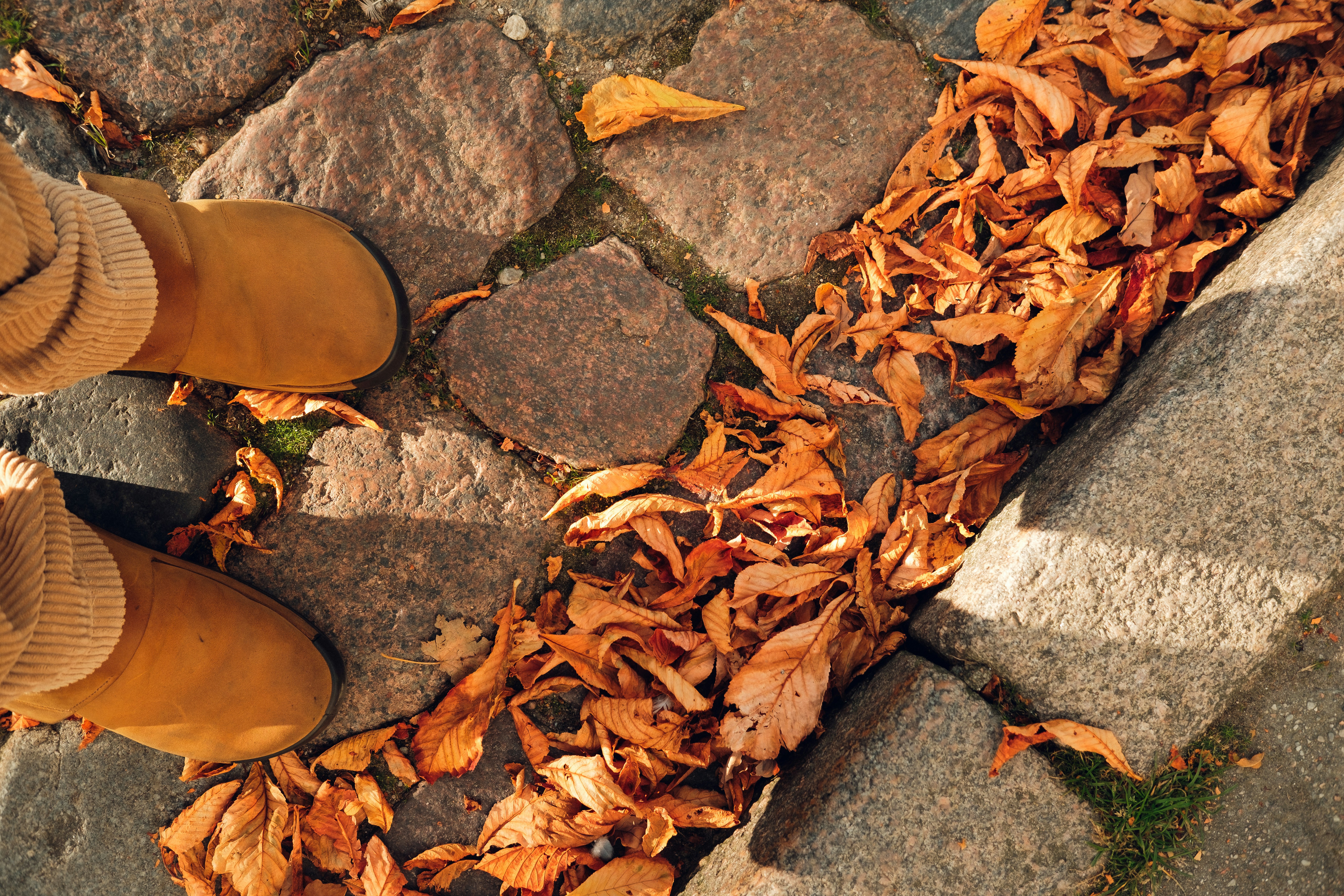 Feet in boots standing next to fallen autumn leaves. photo – Free ...