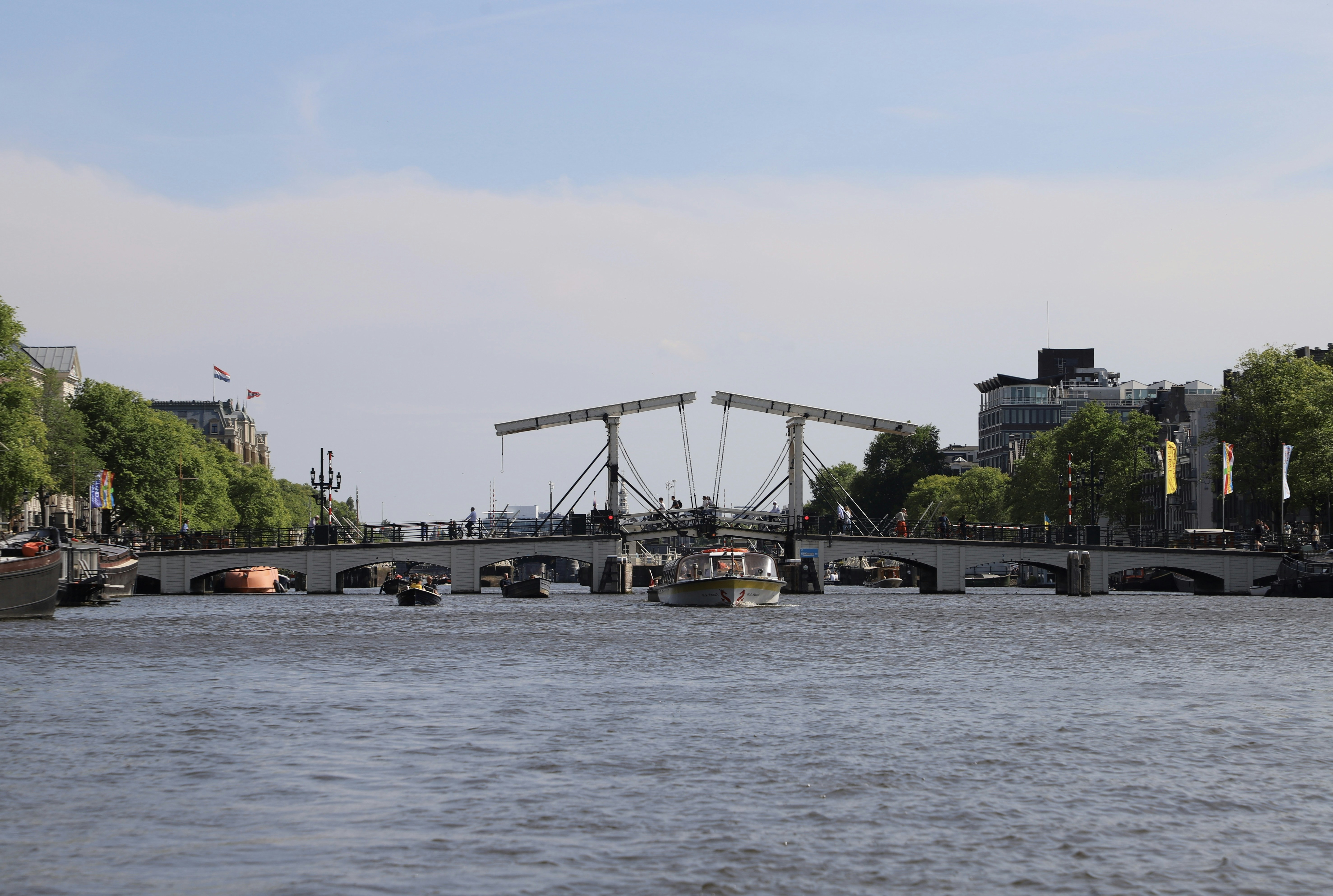 Bridging the Waters: A Serene Urban Scene