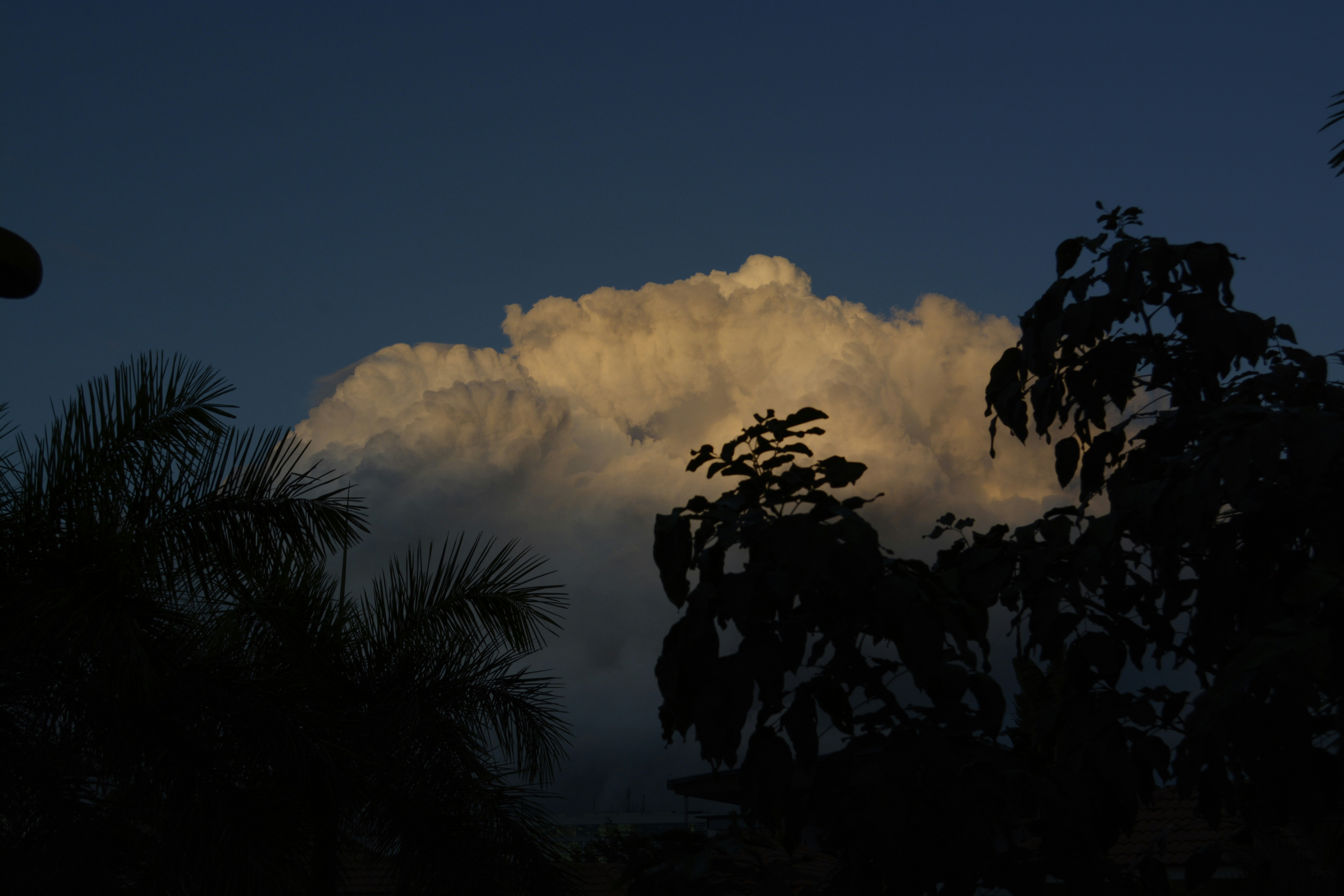 Whispers of the Evening Sky