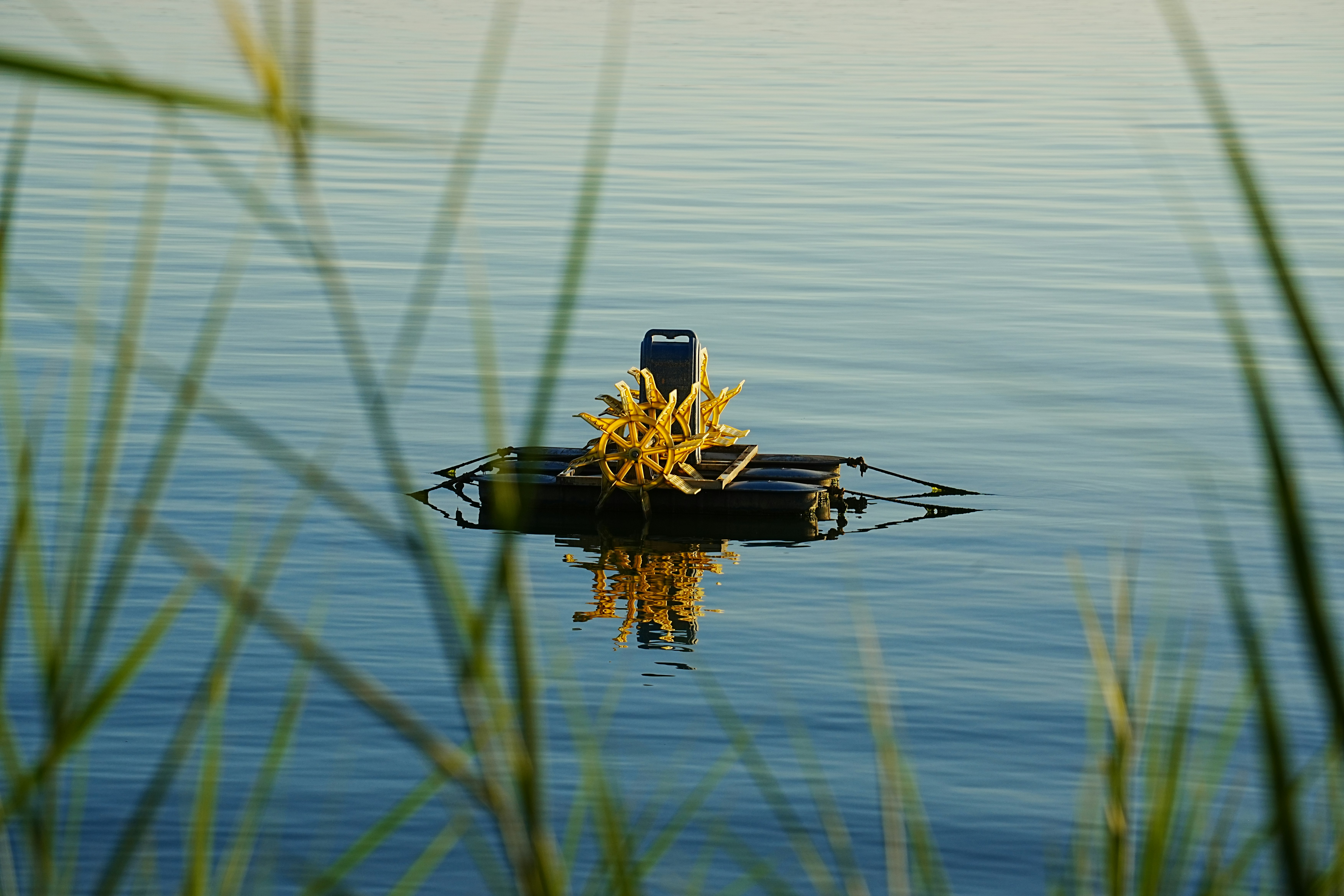 Floating Curiosity: The Unconventional Watercraft