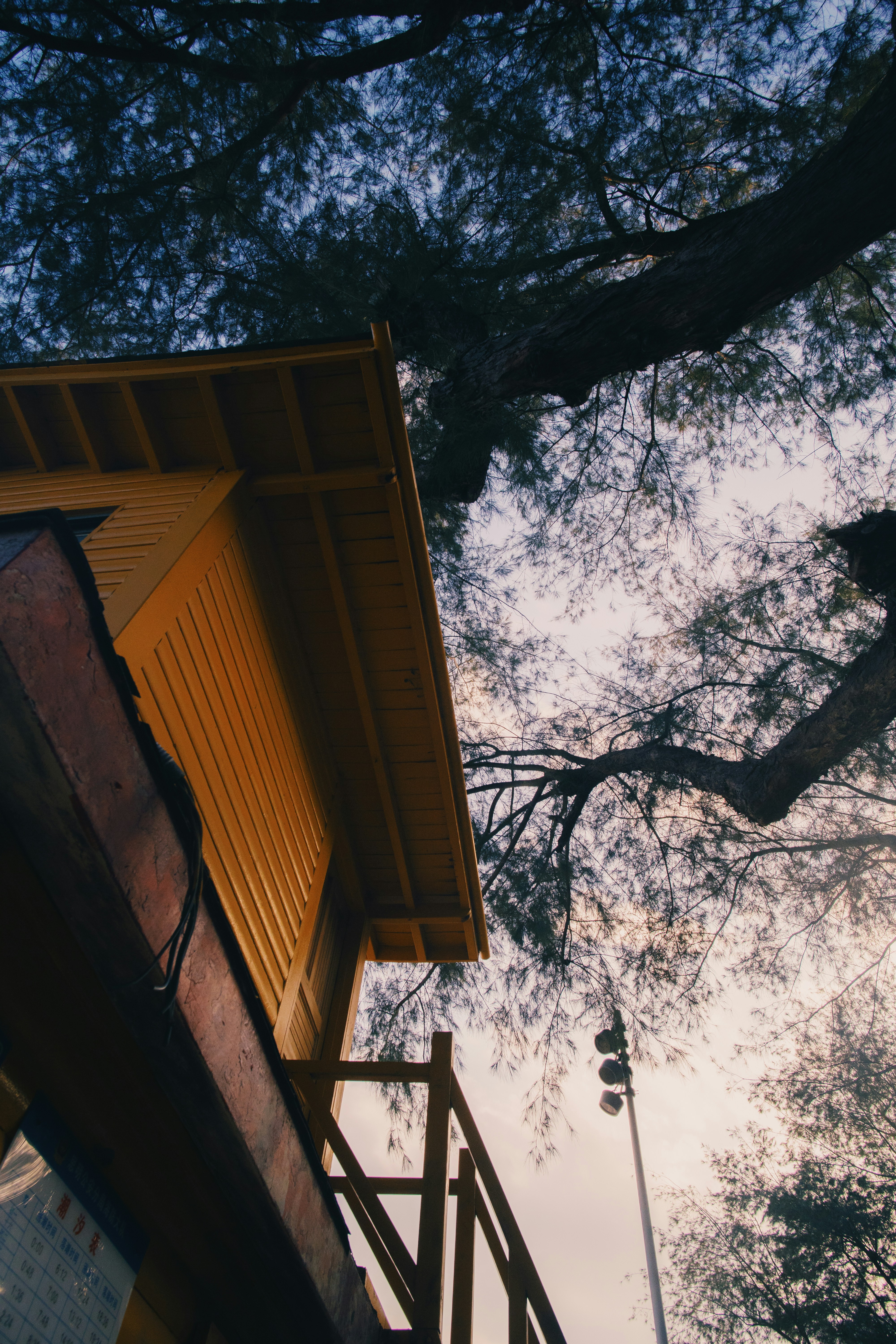 A vibrant yellow structure peeks through the branches of towering trees, capturing a serene moment in nature. The scene evokes a sense of tranquility and connection to the outdoors.