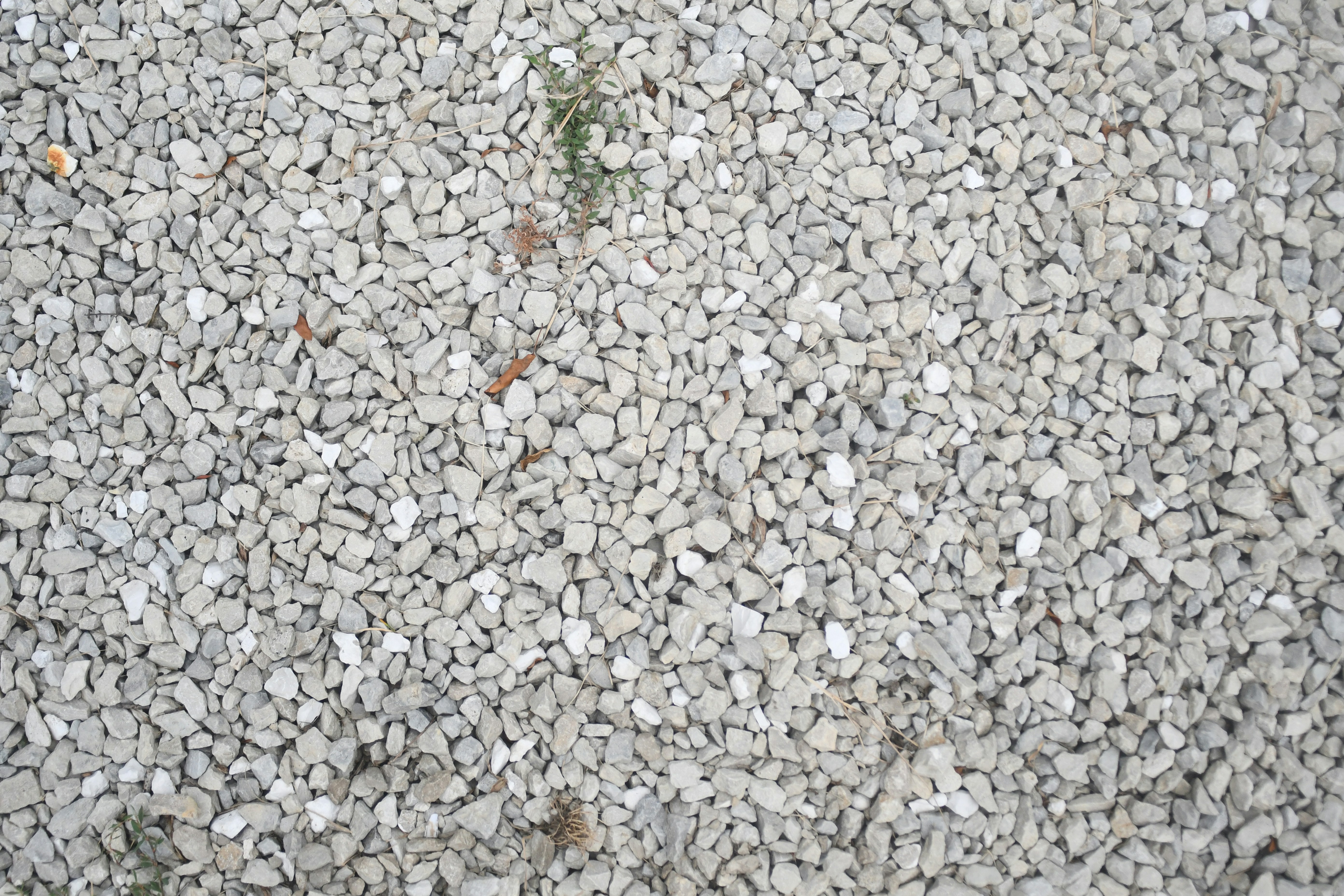 A textured background of small, light gray pebbles.