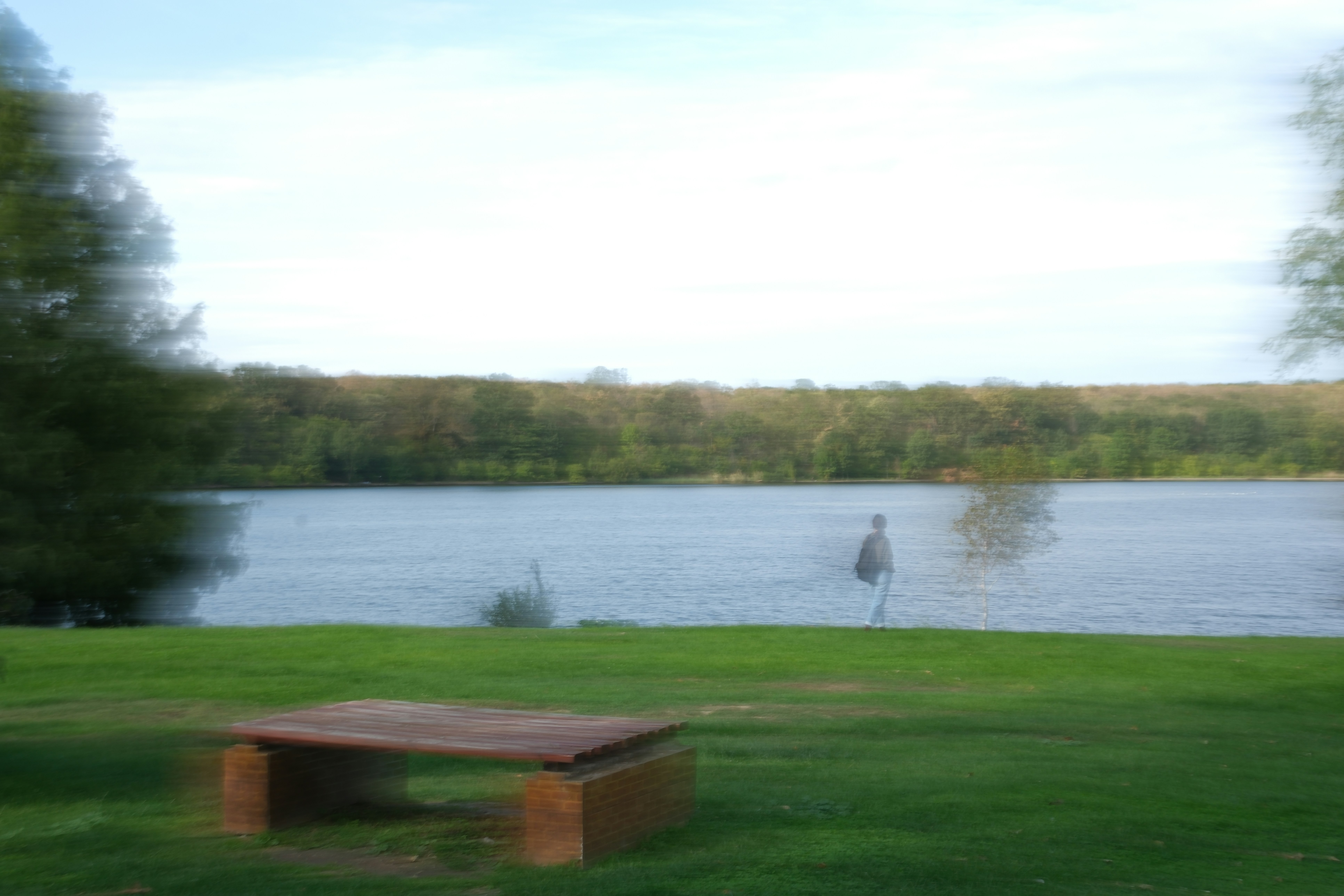 Whispers of Tranquility by the Water's Edge