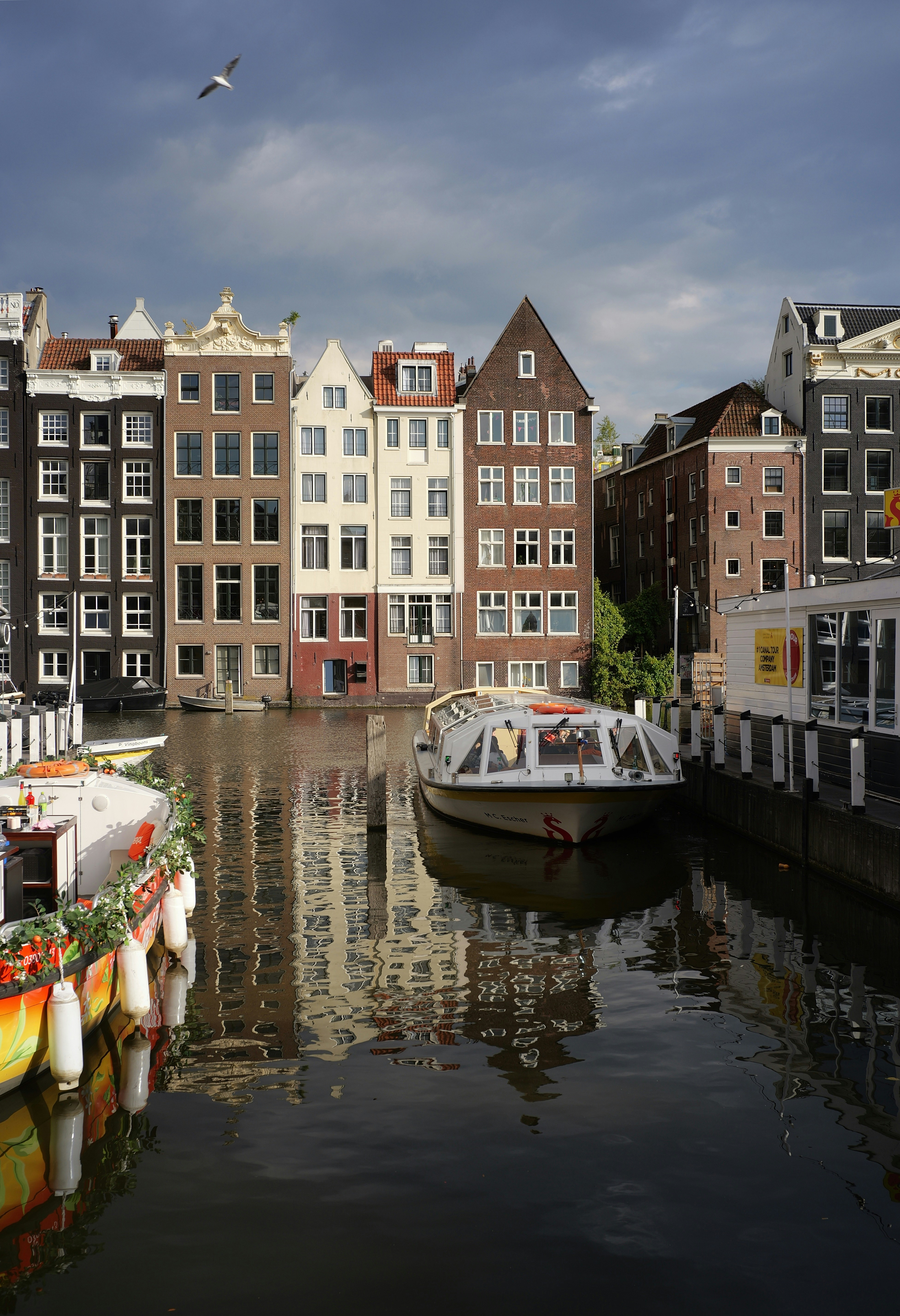 Charming canal scene in Amsterdam featuring colorful houseboats and historic buildings reflected in the water. A seagull glides overhead.