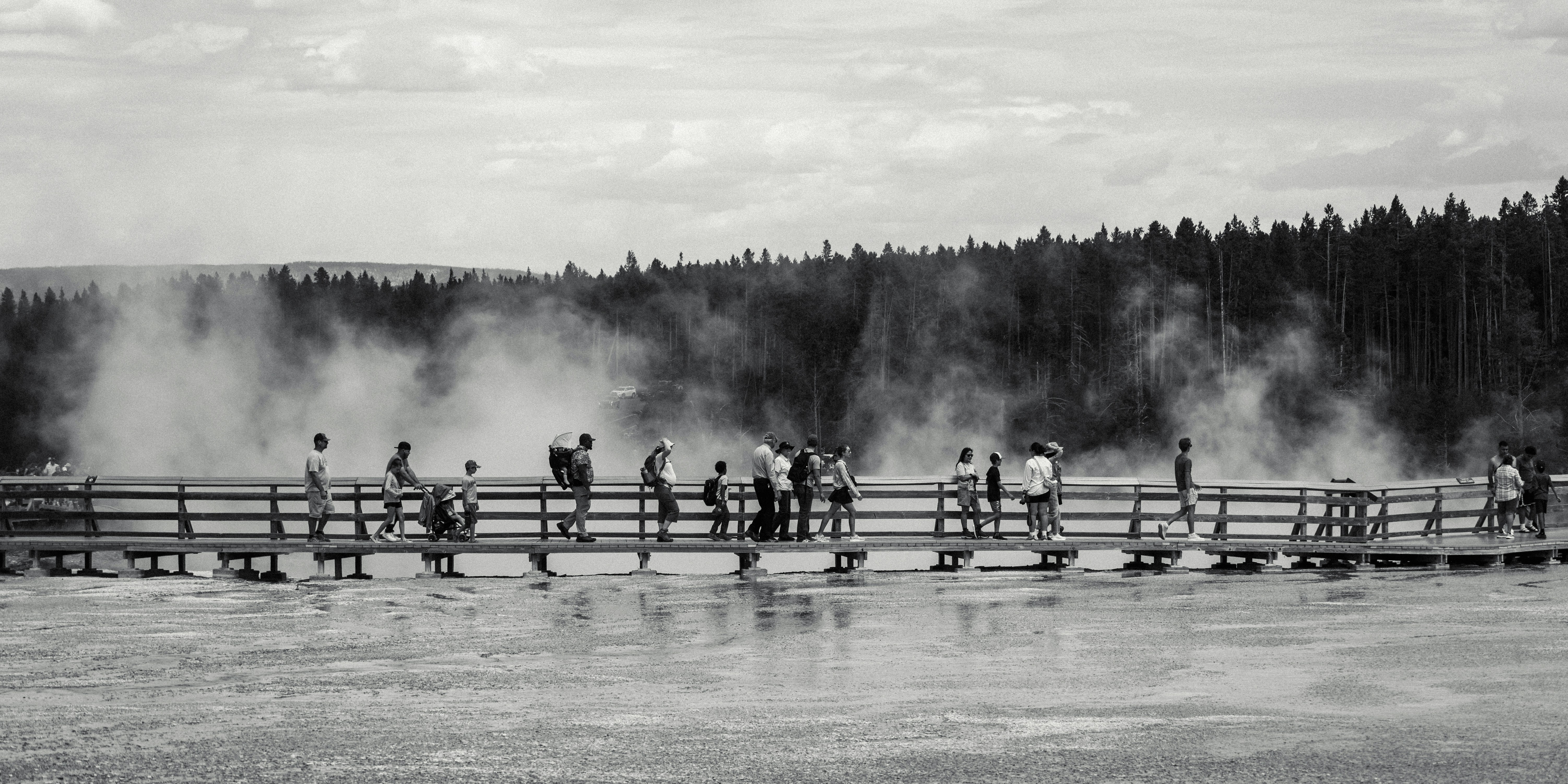 Bridging Nature and Humanity: A Walk Through Steam