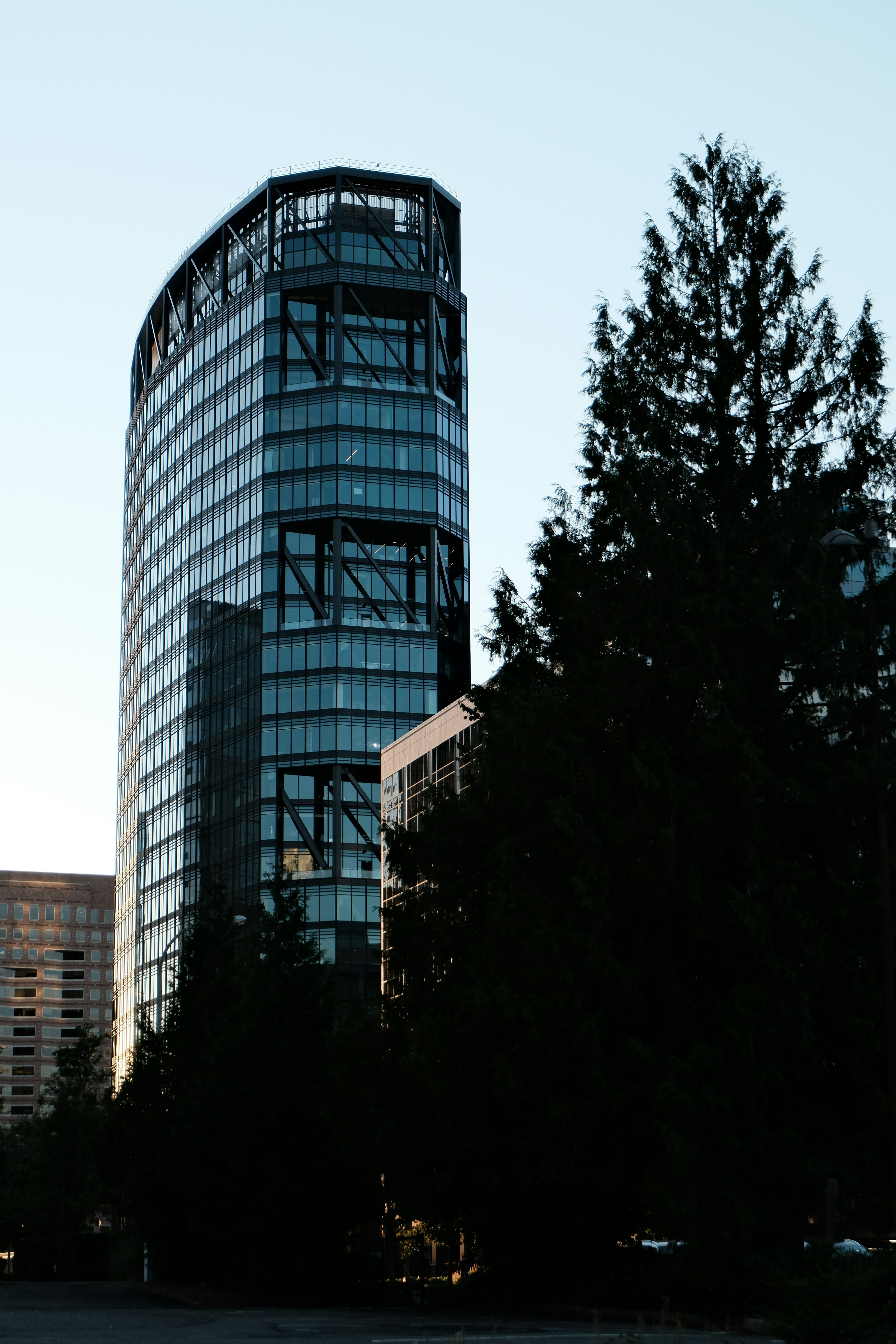 Modern glass skyscraper reflecting the sky, framed by lush evergreen trees in an urban setting.