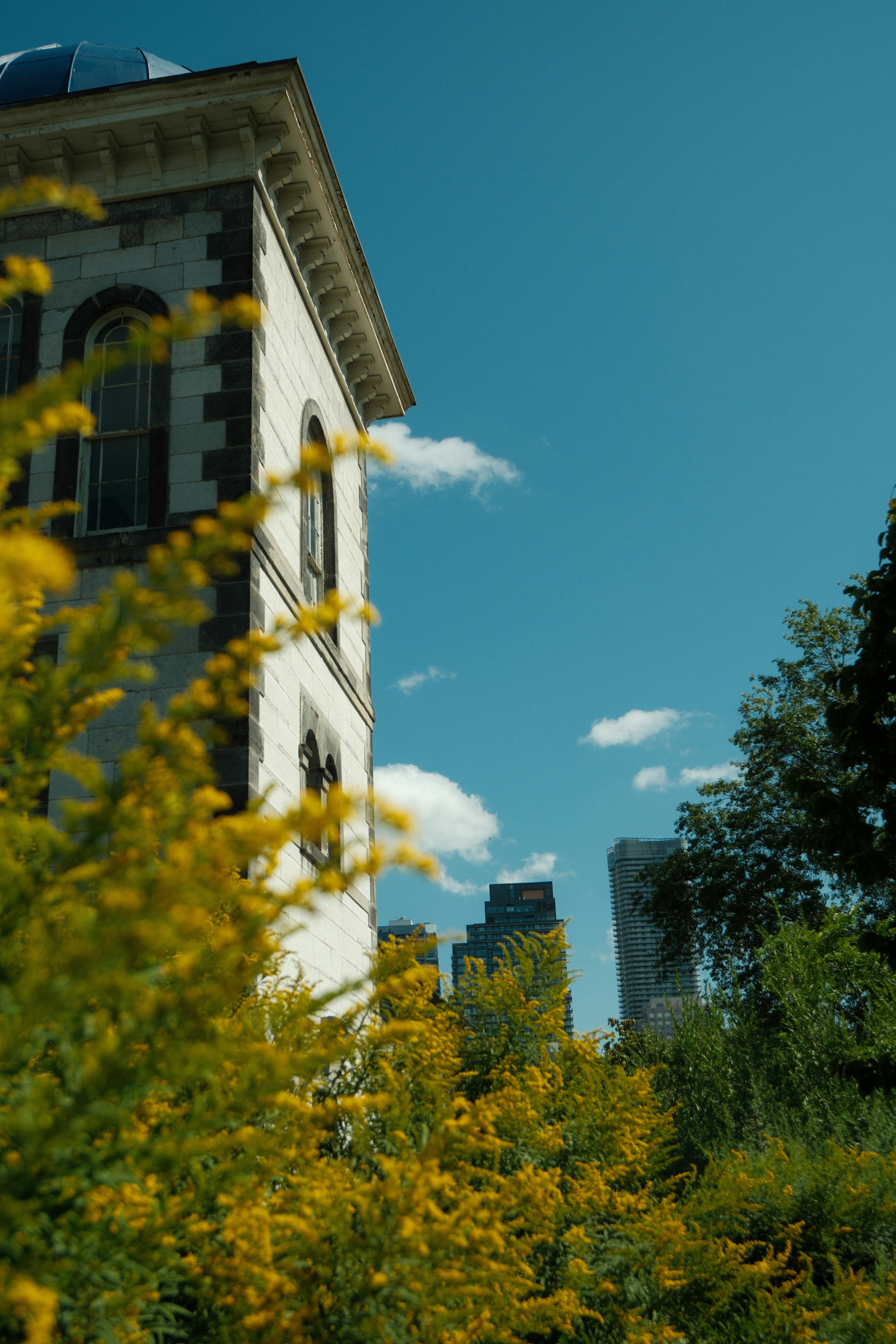 Historic building framed by vibrant yellow flowers against a clear blue sky, showcasing the blend of nature and urban life.