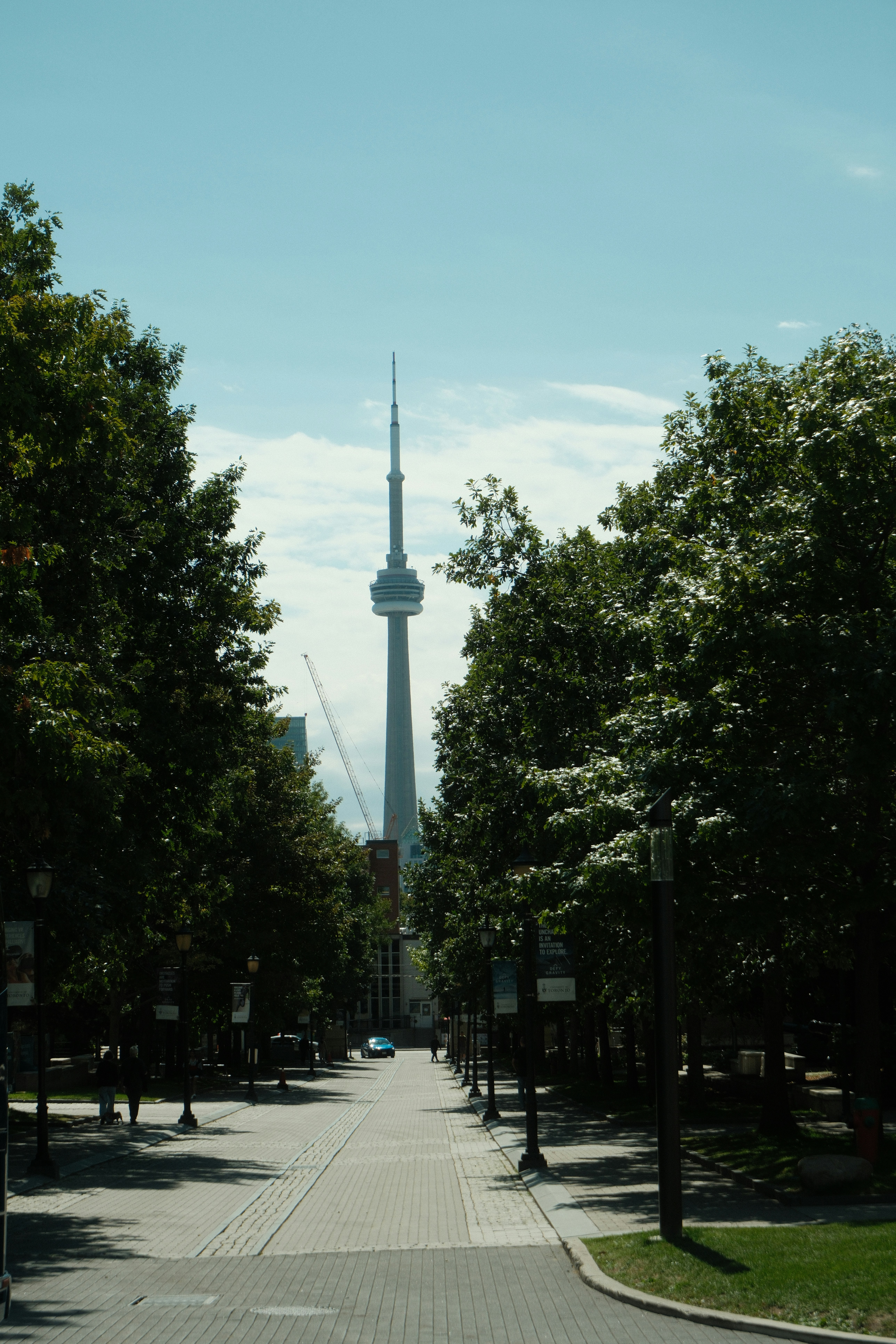 A long pathway leads to the cn tower.